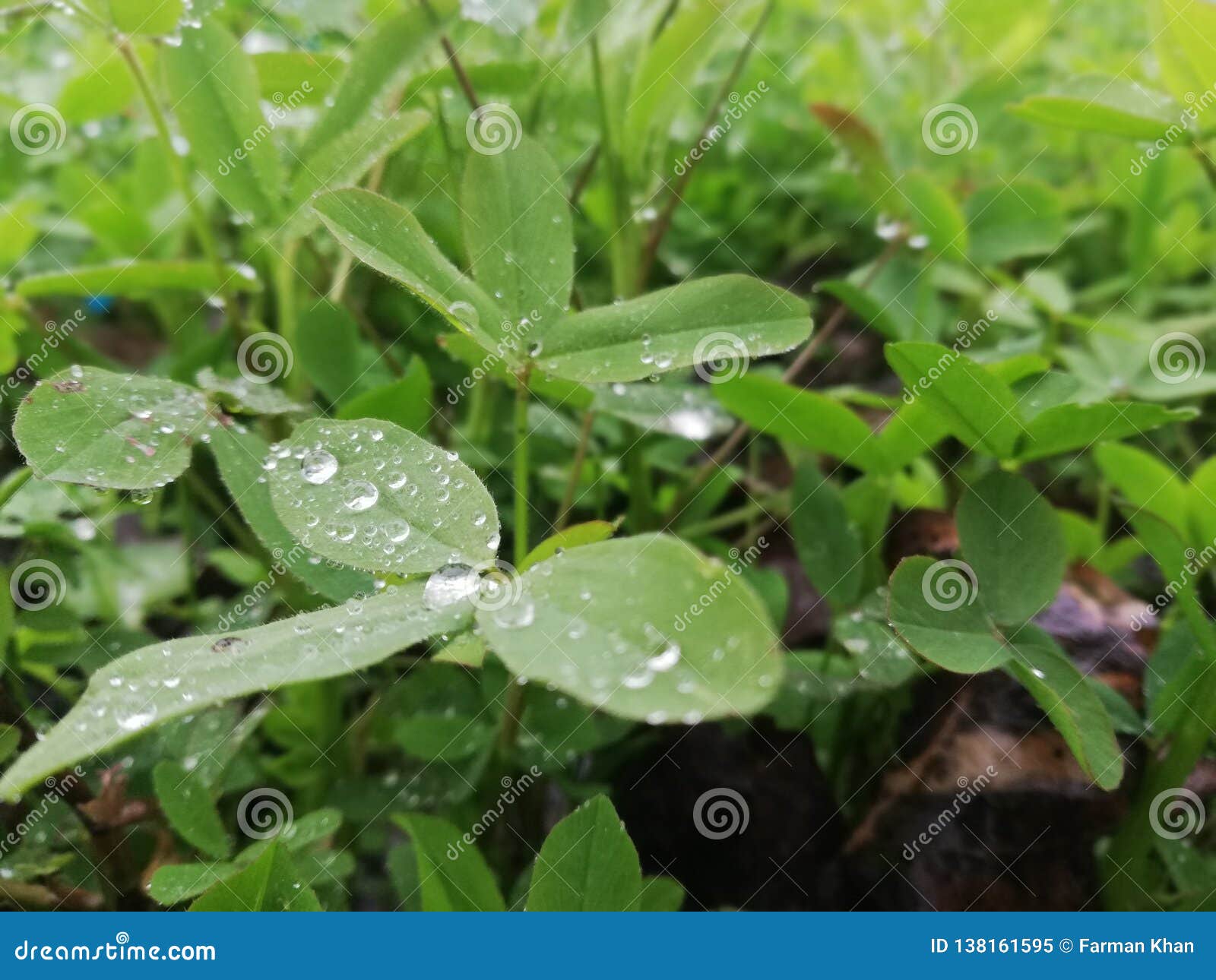 Rainy Time stock image. Image of time, beautiful, rain - 138161595
