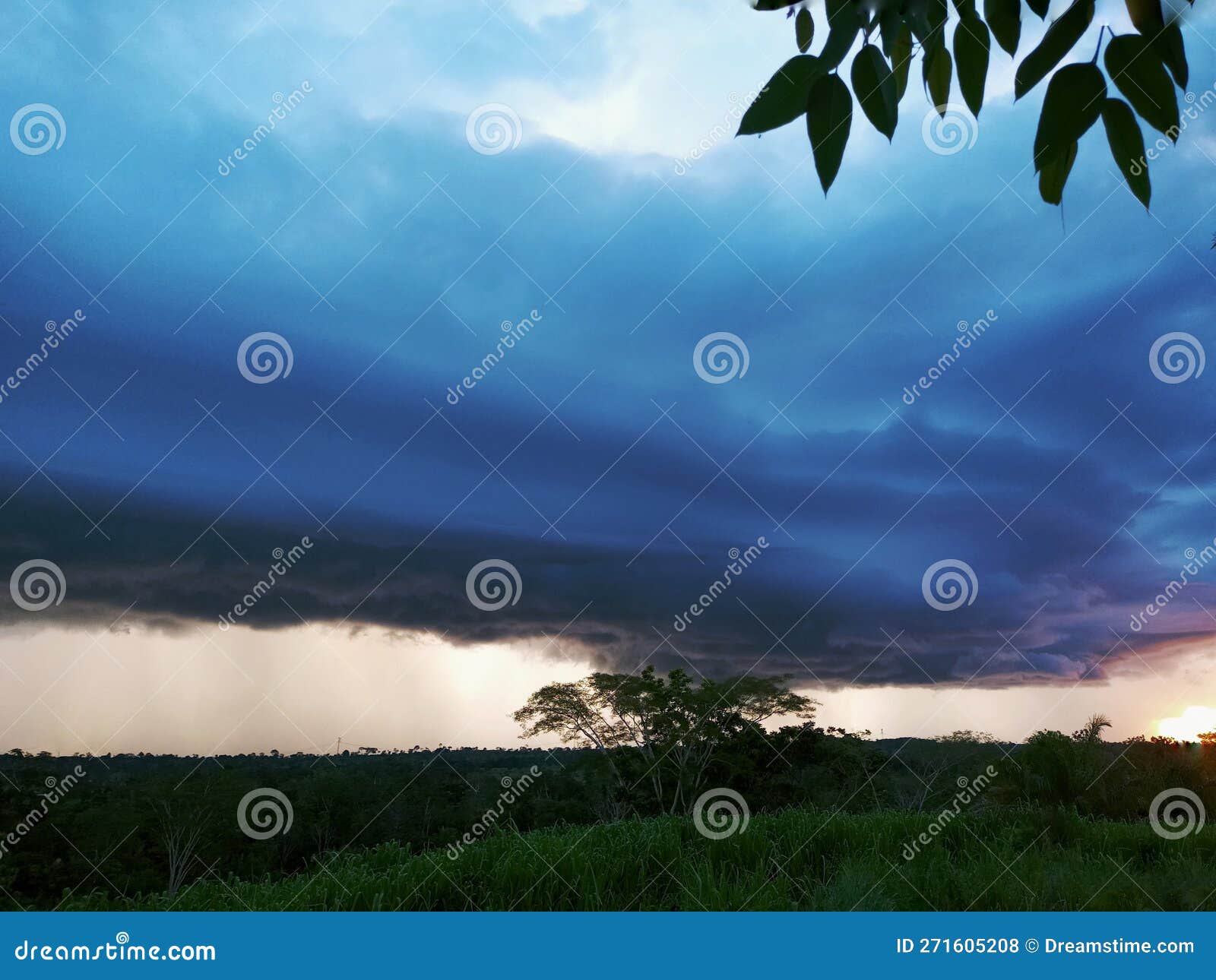 Rainy Weather with Blue Sky in the Amazon Rainforest. Stock Photo ...