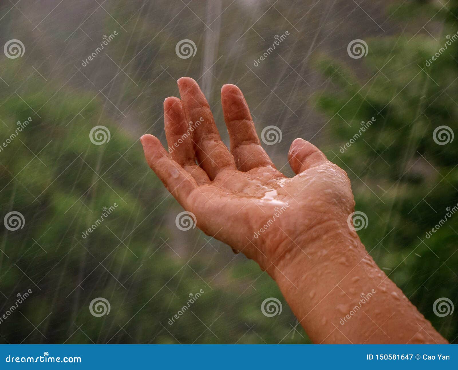 Rainy Weather, Rain Drops Falling on Womans Hand. Stock Image - Image ...