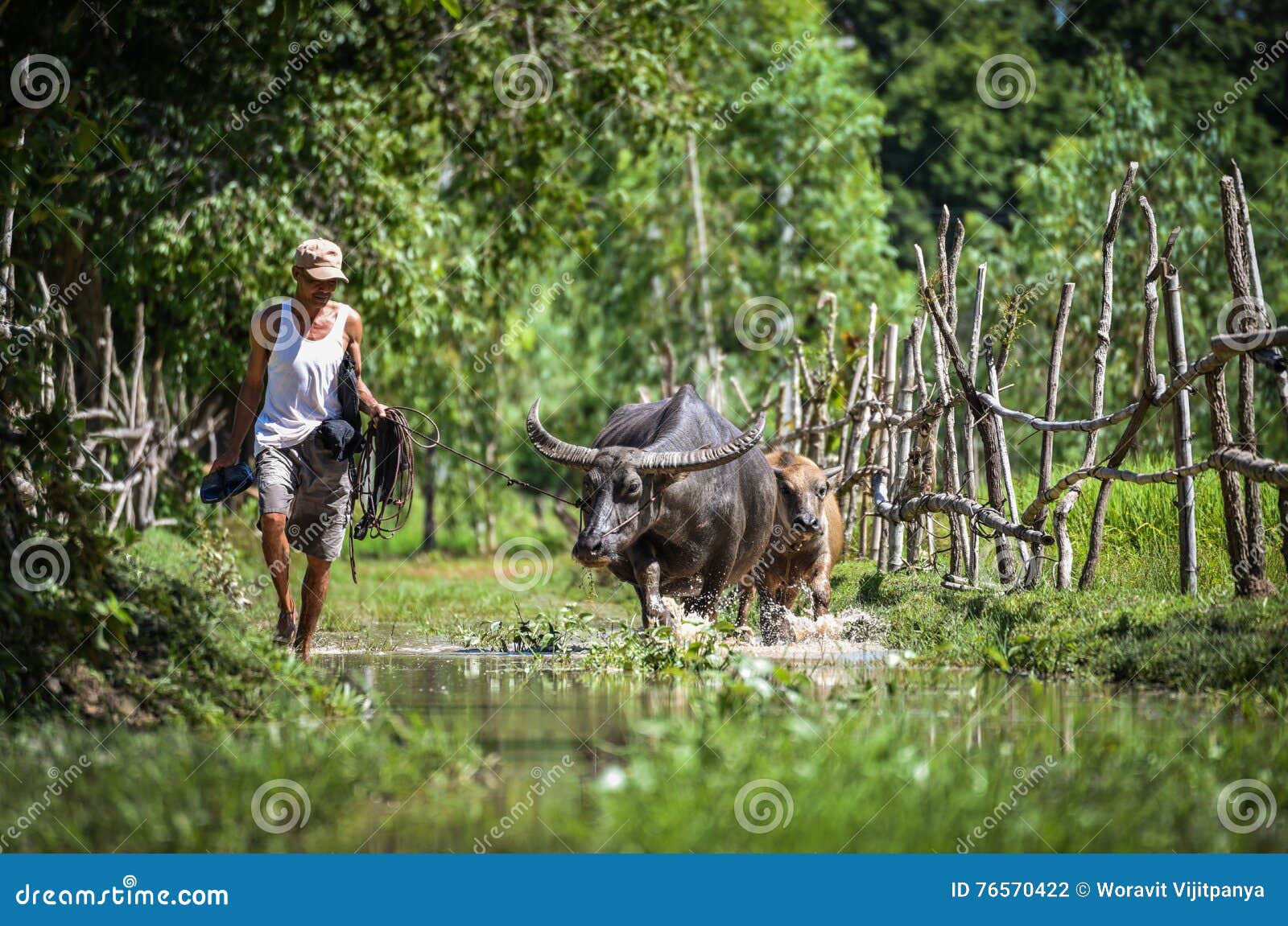Raise animals stock photo. Image of girl, kiss, blond - 76570422