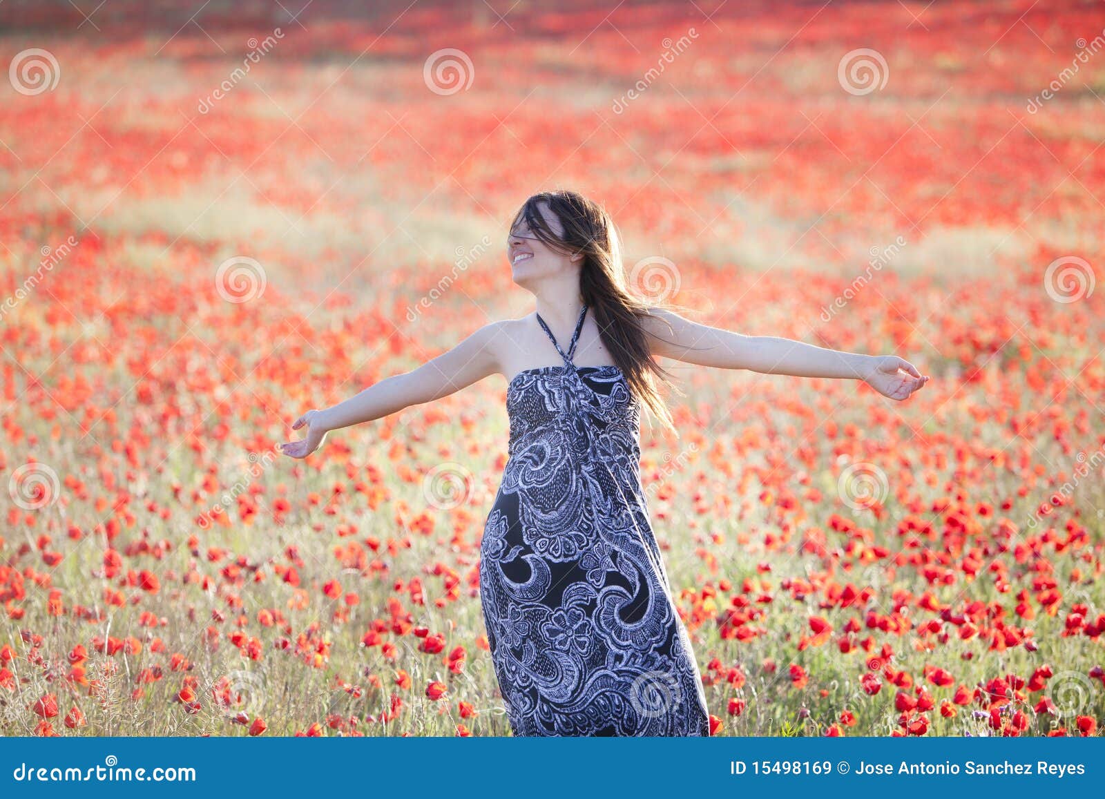Raised arms on field stock image. Image of poppy, nature - 15498169