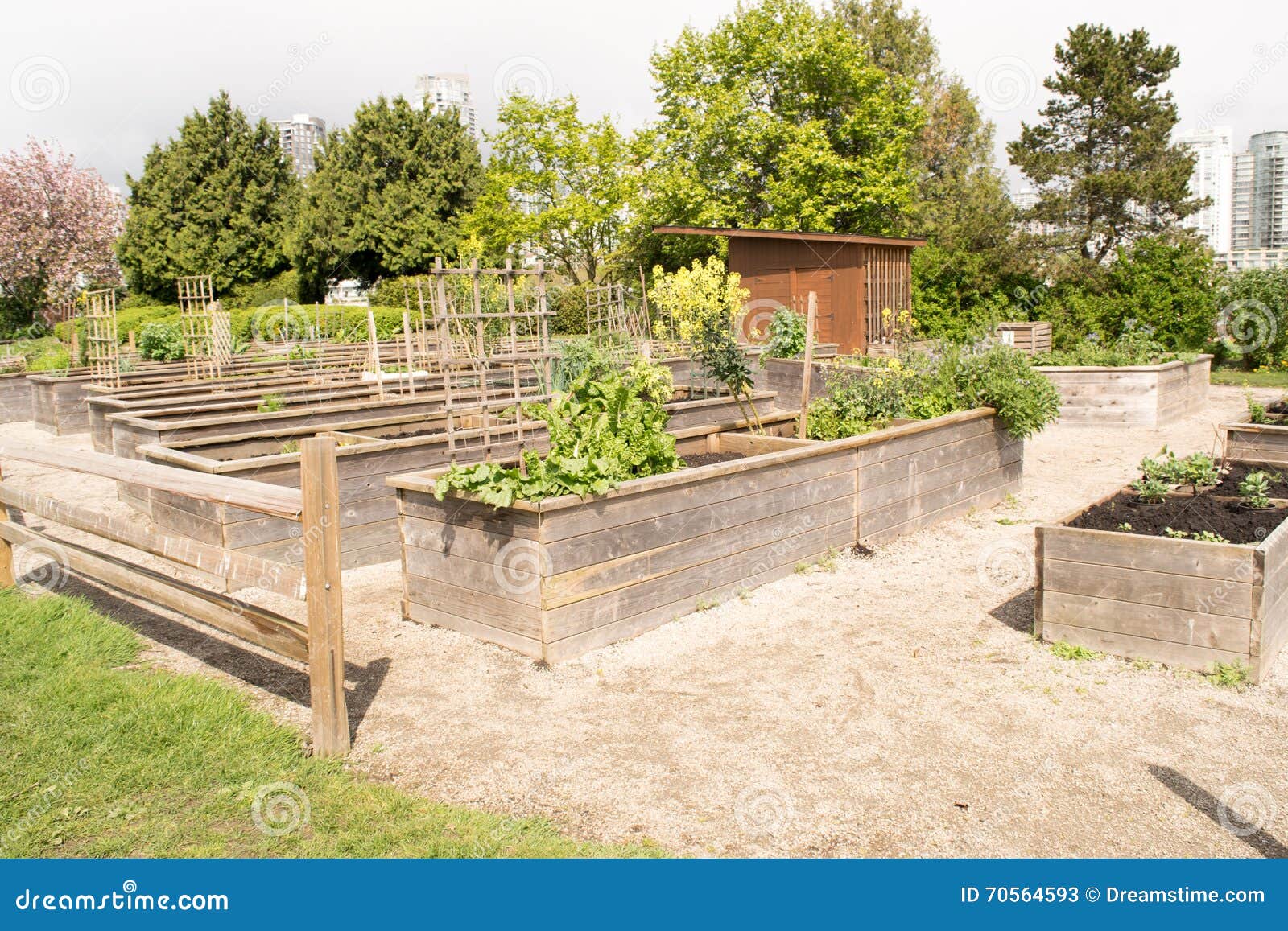 Raised Beds in a Community Garden Stock Image - Image of spring, veggie ...