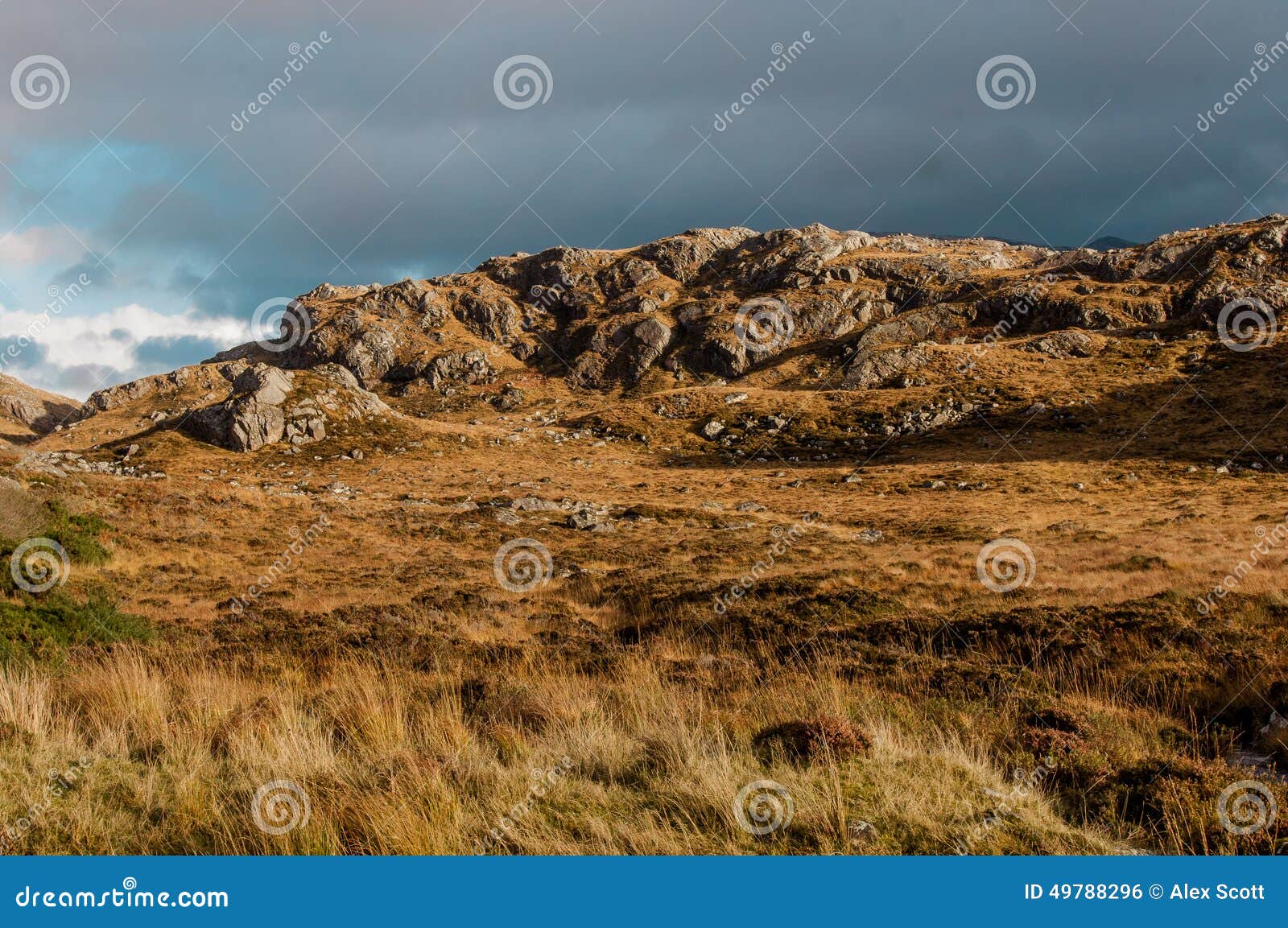 Raised Bog in the Northern Mountains of Scotland Stock Photo - Image of ...