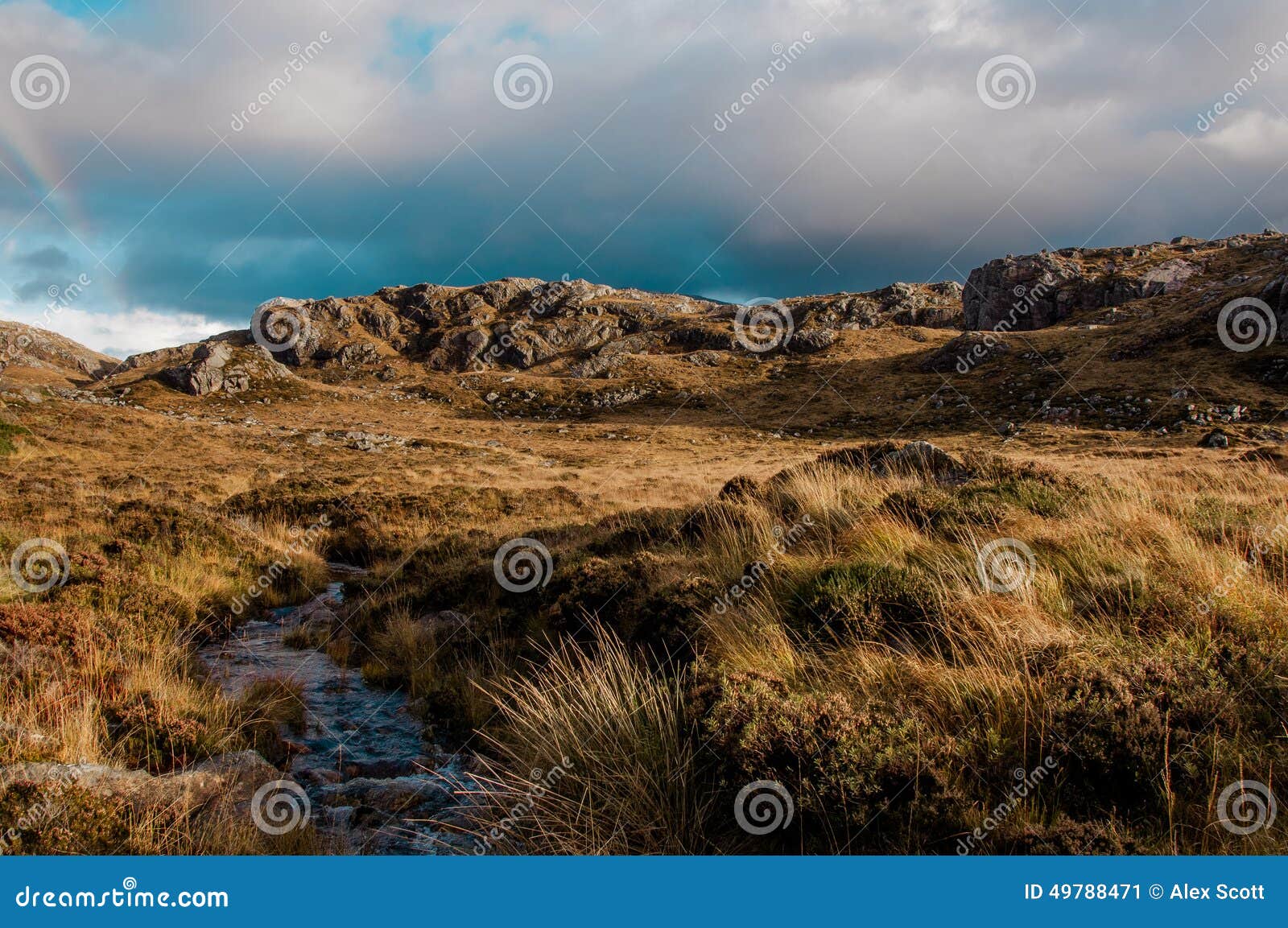 Raised Bog in the Northern Mountains of Scotland Stock Image - Image of ...