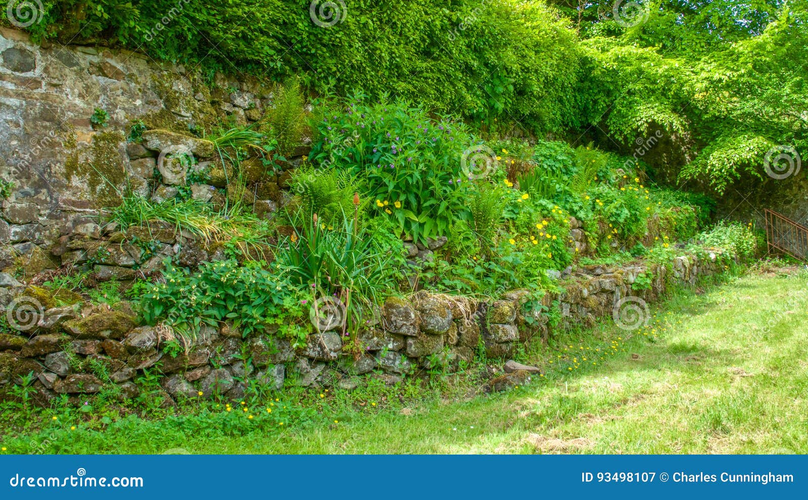 Raised Flower Beds at the Corner of a Field Stock Image - Image of beds ...