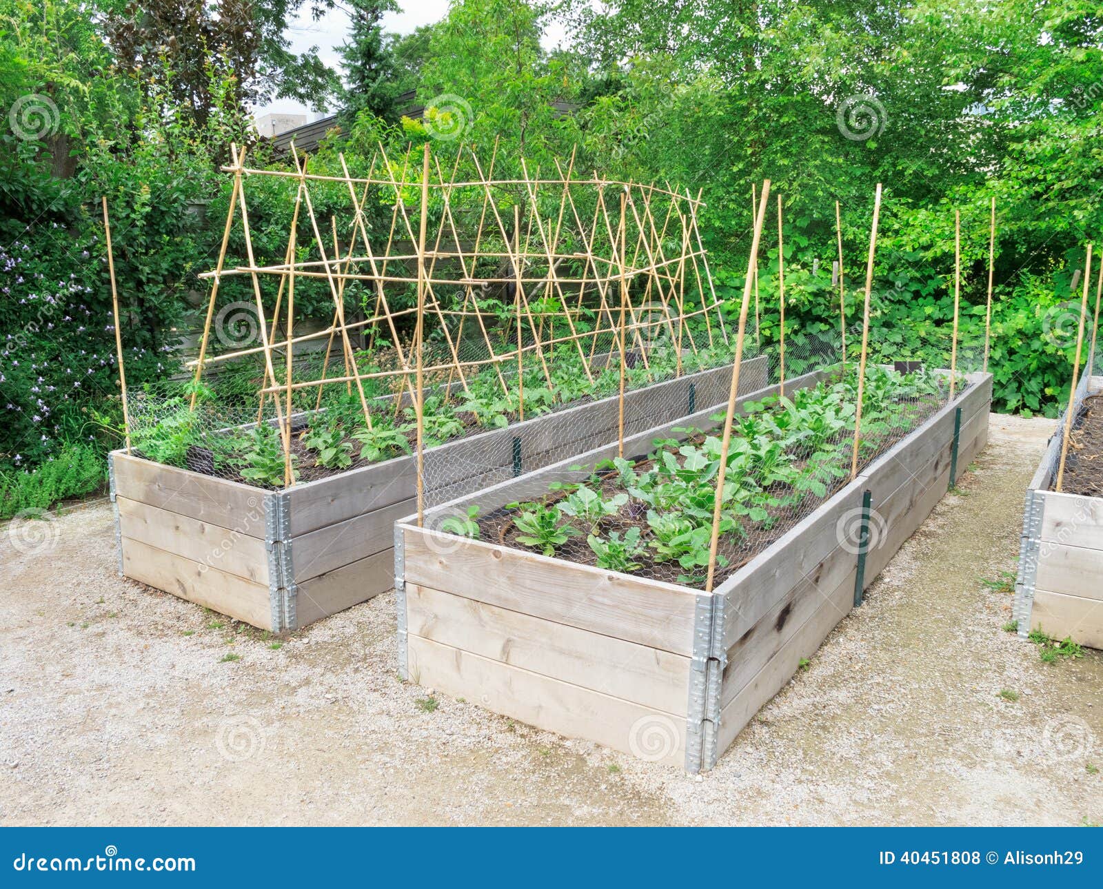 Raised Garden Frames stock photo. Image of beds, greens - 40451808