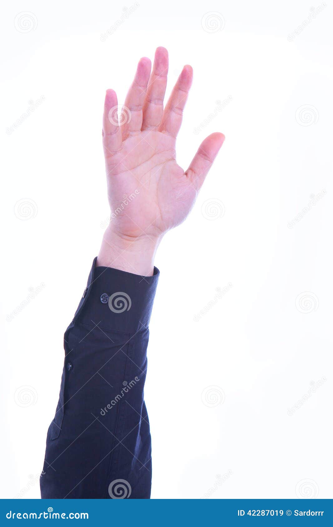 Raised hand voting stock image. Image of white, human - 42287019