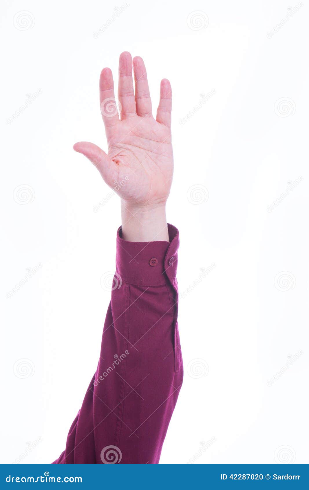 Raised hand voting stock photo. Image of adult, wrist - 42287020