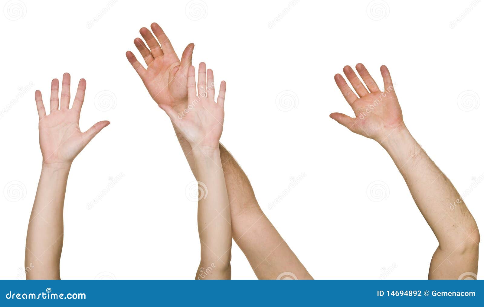 Raised Hands stock photo. Image of business, finger, isolated - 14694892