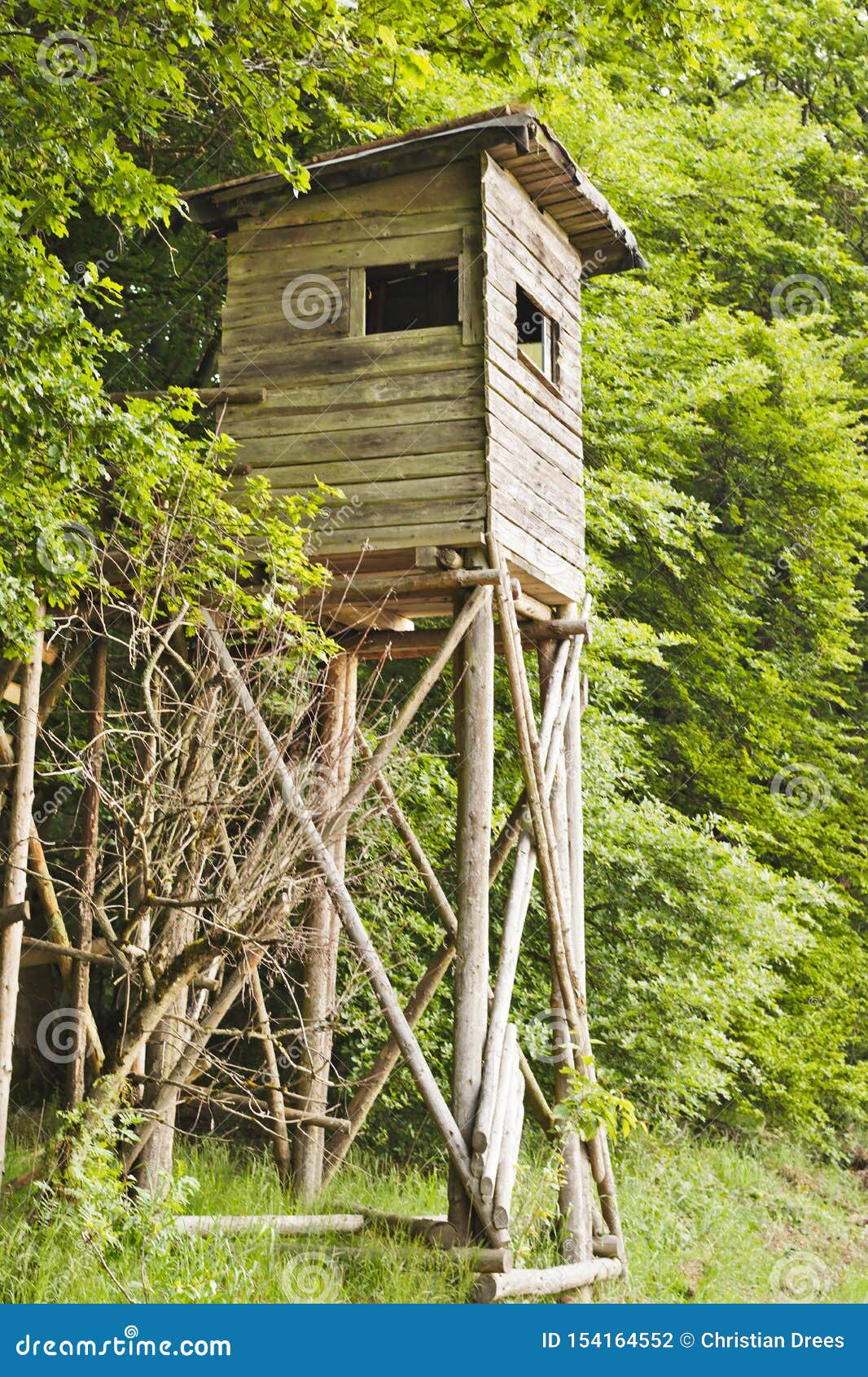 Raised hide in the forest stock photo. Image of surveillance - 154164552 Raised hide in the forest stock photo. Image of surveillance - 154164552