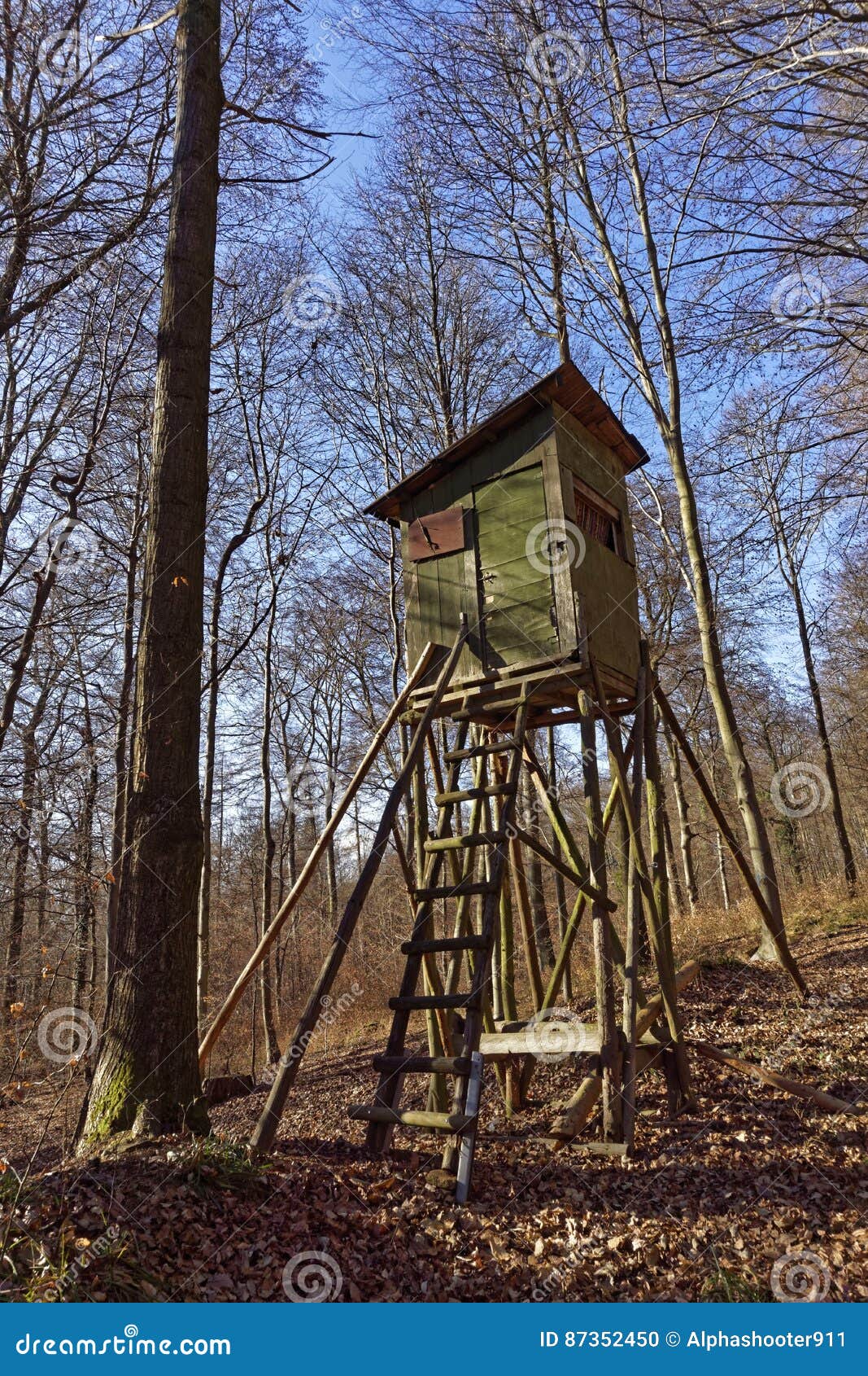 Raised Hide in Forest on a Sunny Day Stock Photo - Image of hunting ...
