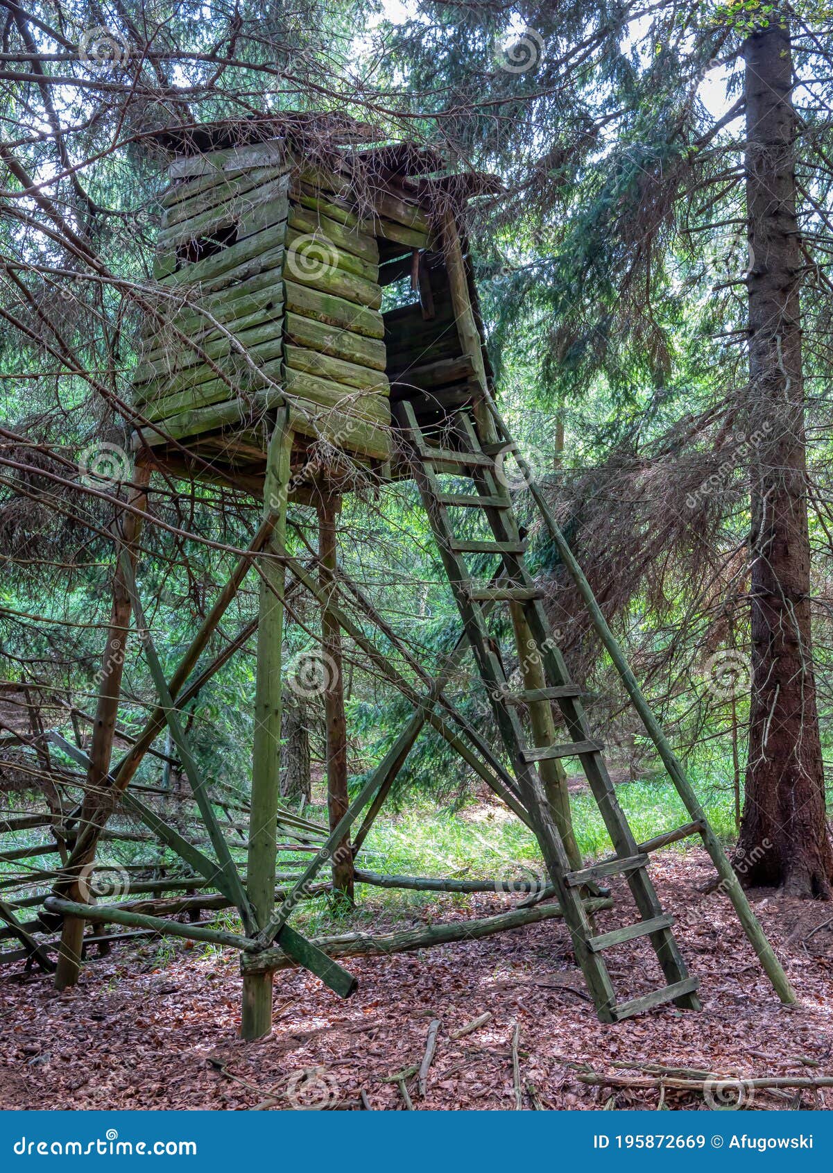 Raised Hide for Hunting in a Forest Stock Image - Image of wooden, hide ... Raised Hide for Hunting in a Forest Stock Image - Image of wooden, hide ...
