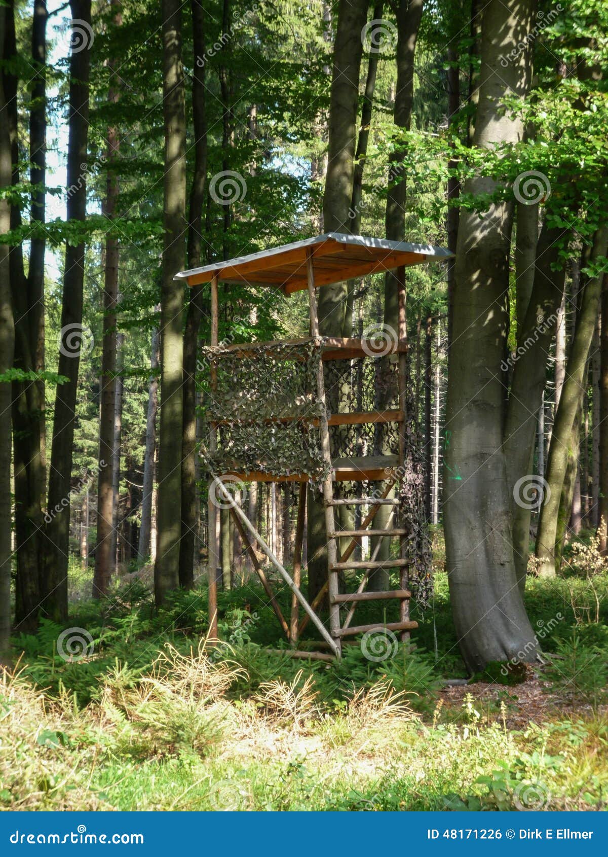 Raised Hide - Raised Blind in Autumn Light Stock Photo - Image of ... Raised Hide - Raised Blind in Autumn Light Stock Photo - Image of ...