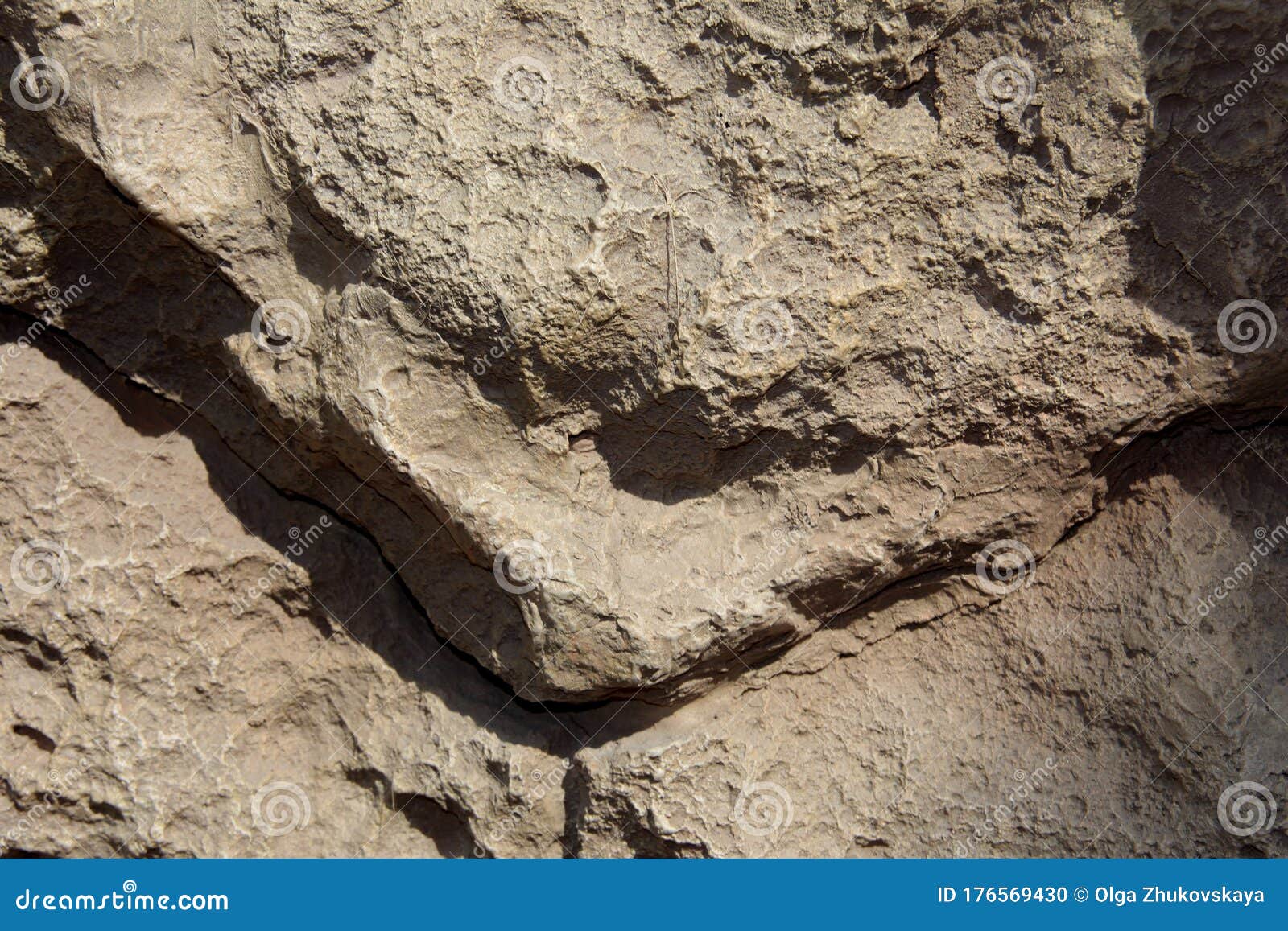A Stone with Indentations. Raised Texture Wall Stock Photo - Image of ...