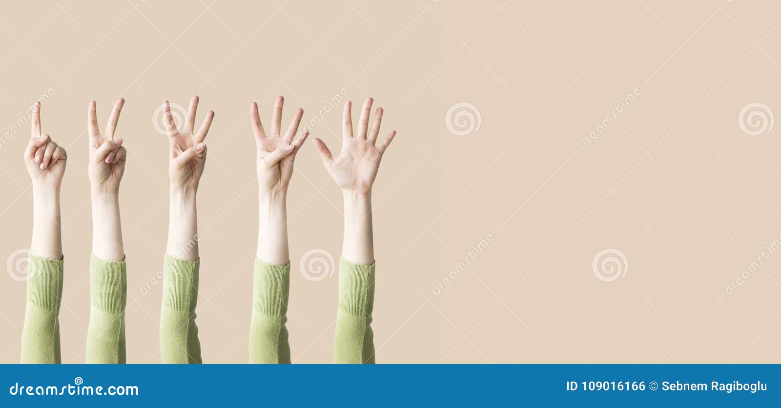 Raised Up Hands and Fingers Showing Numerical Stock Photo - Image of ...