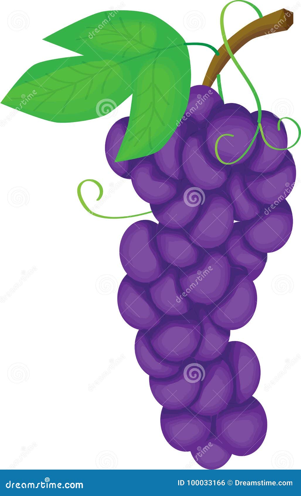 Raisin illustration de vecteur. Illustration du délicieux - 100033166