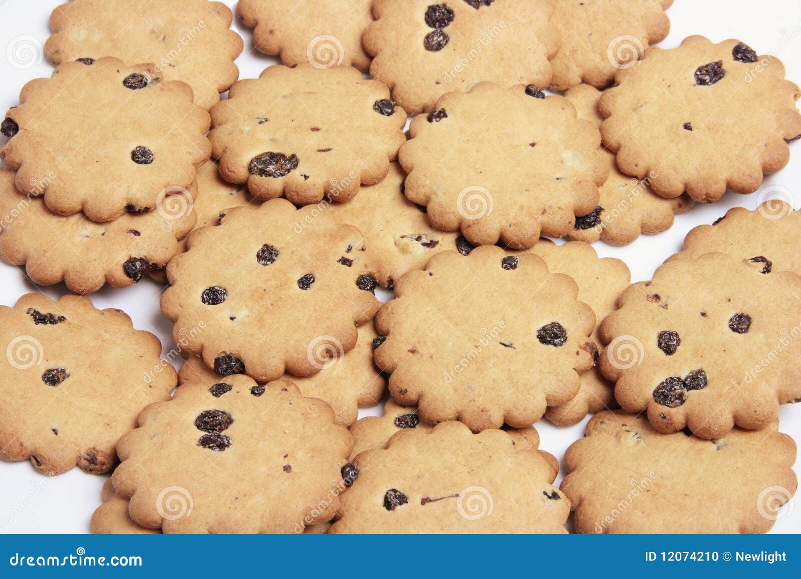 Raisin Biscuits stock photo. Image of snack, break, biscuits - 12074210