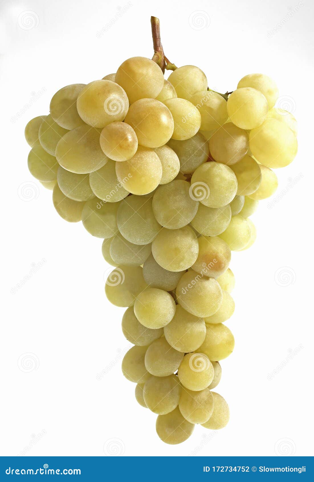 RAISIN BLANC stock photo. Image of fruit, food, indoor - 172734752