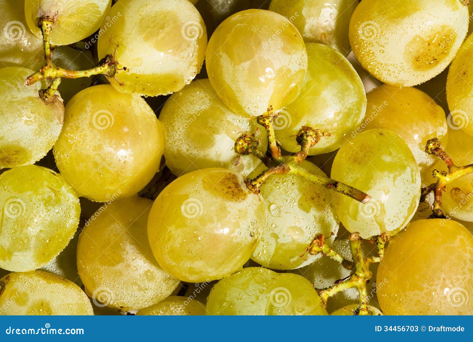 Raisin de Muscat image stock. Image du frais, antioxydant - 34456703