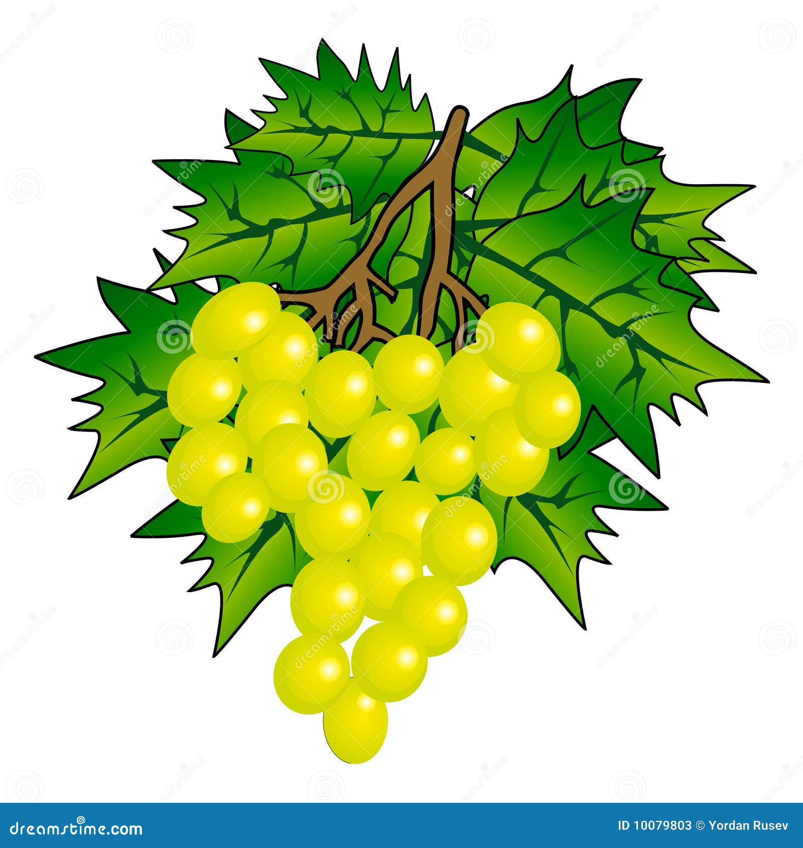 Raisin de table illustration de vecteur. Illustration du fruits - 10079803
