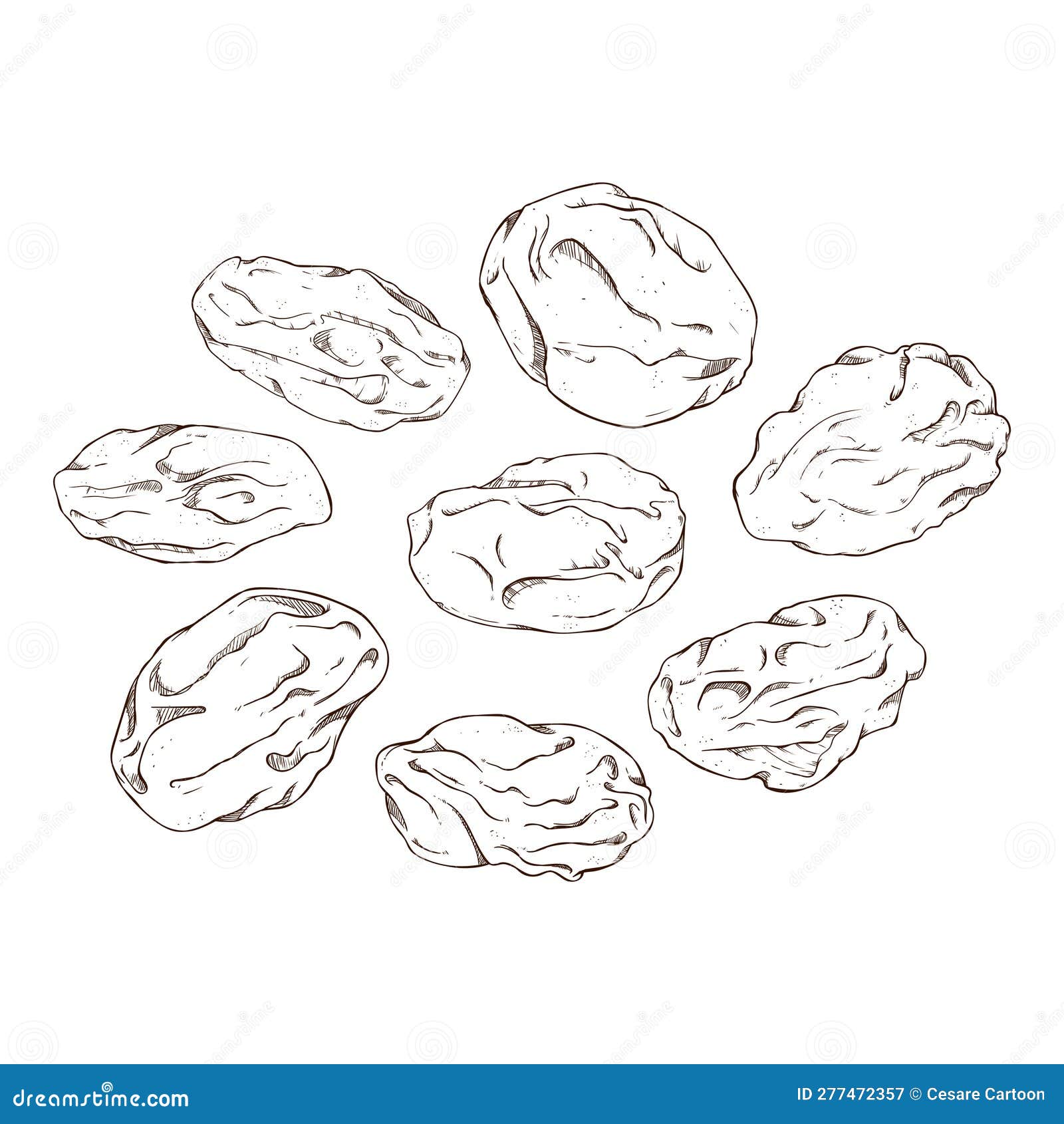 Raisin icon set stock vector. Illustration of simple - 277472357