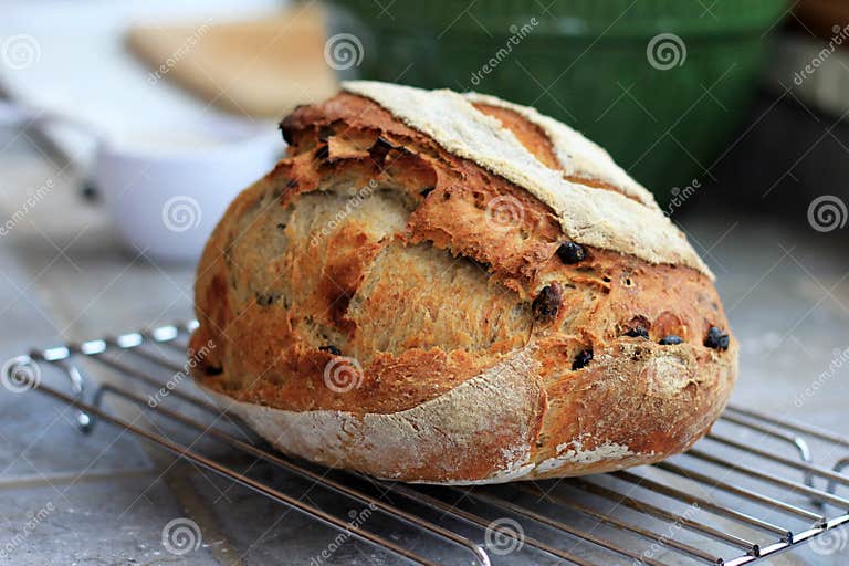 Raisin Rye Artisan Bread stock image. Image of fresh - 17300629