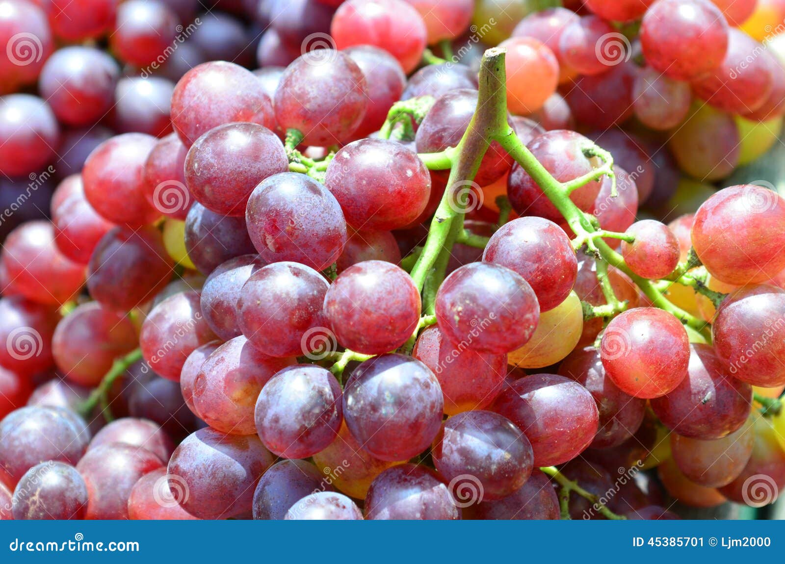 Raisin violet image stock. Image du toujours, raisin - 45385701