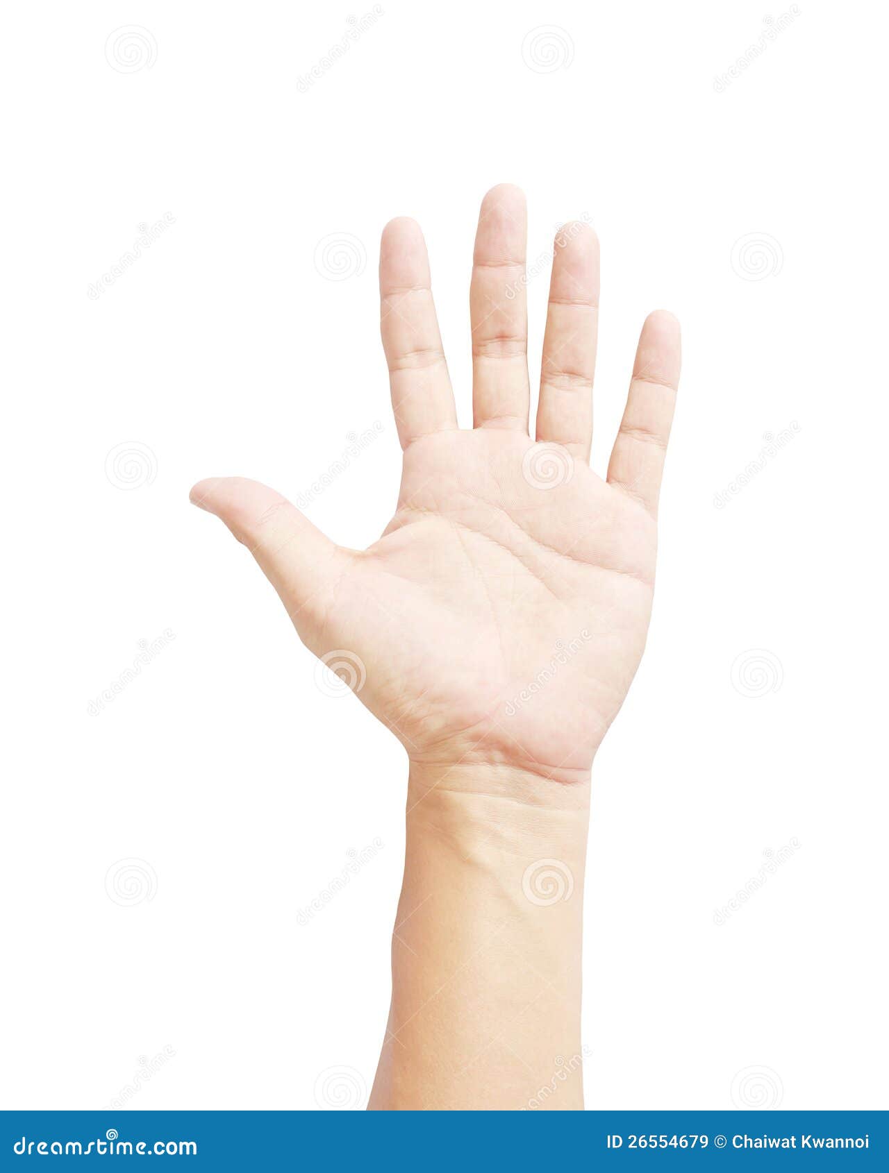 Raising hand isolated stock image. Image of assistance - 26554679