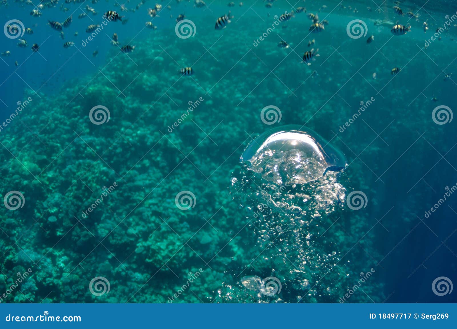 Raising Underwater Bubbles In The Blue Sea Royalty Free Stock ...