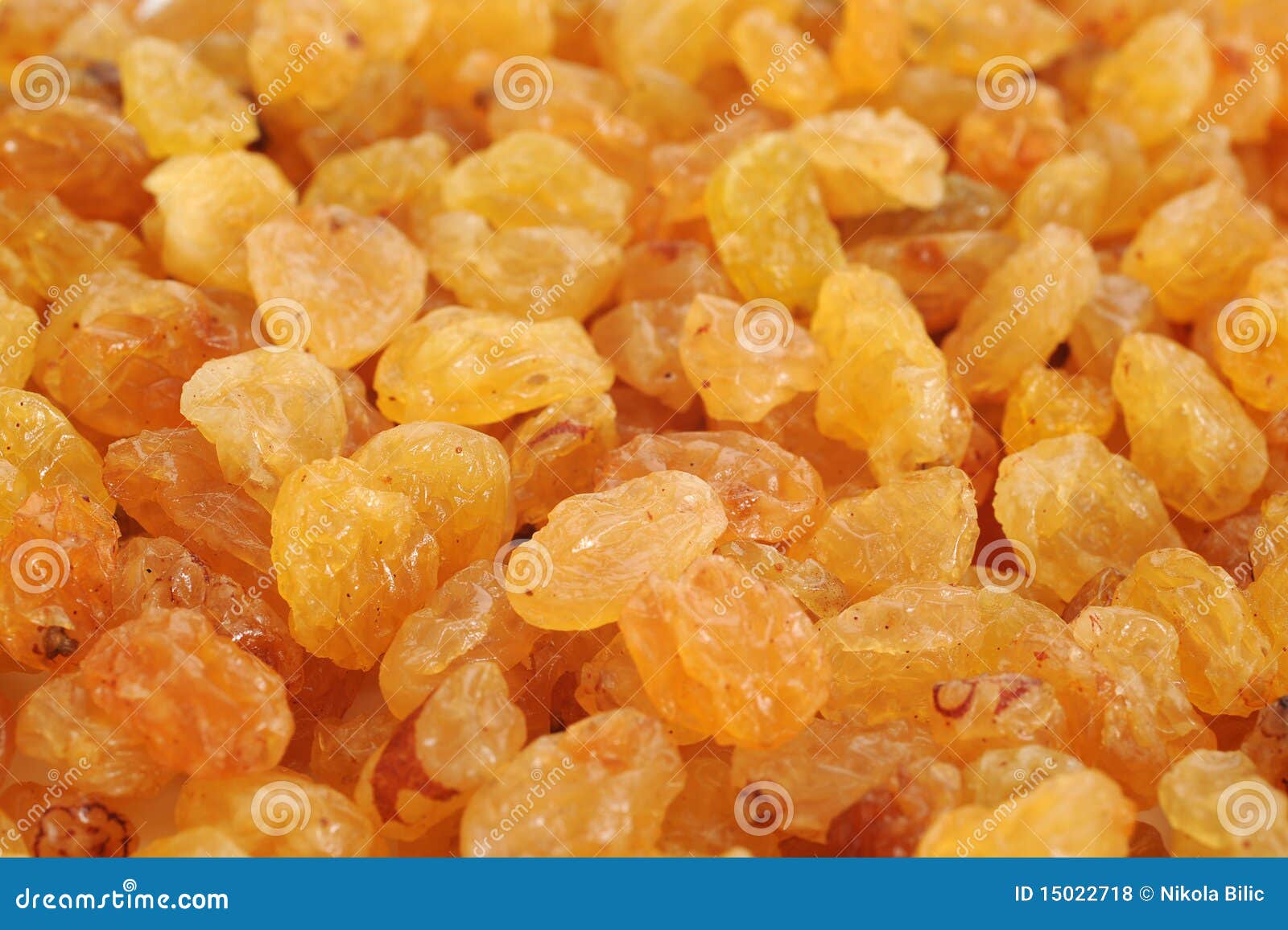 Raisins stock photo. Image of plenty, seasonal, macro - 15022718
