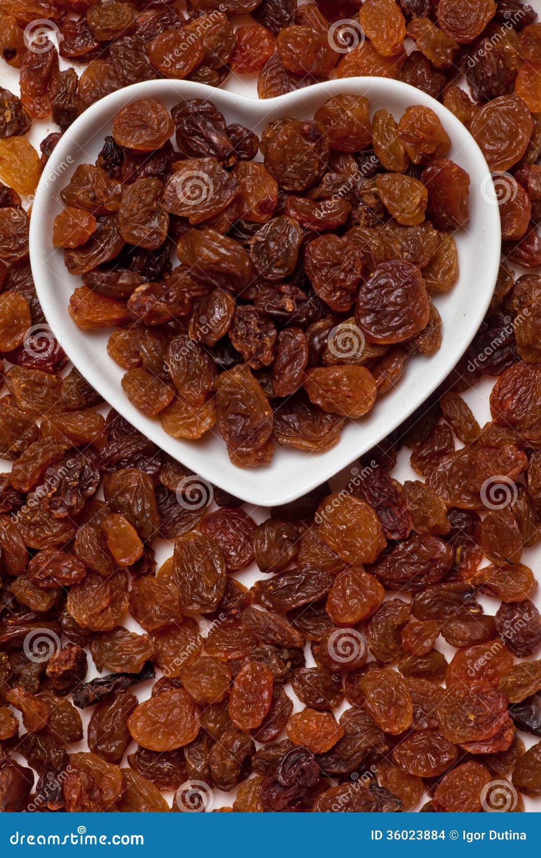 Raisins, dried grape stock photo. Image of food, raisin - 36023884