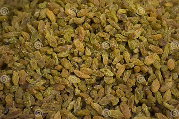 Raisins close up image stock photo. Image of isolated - 221688200