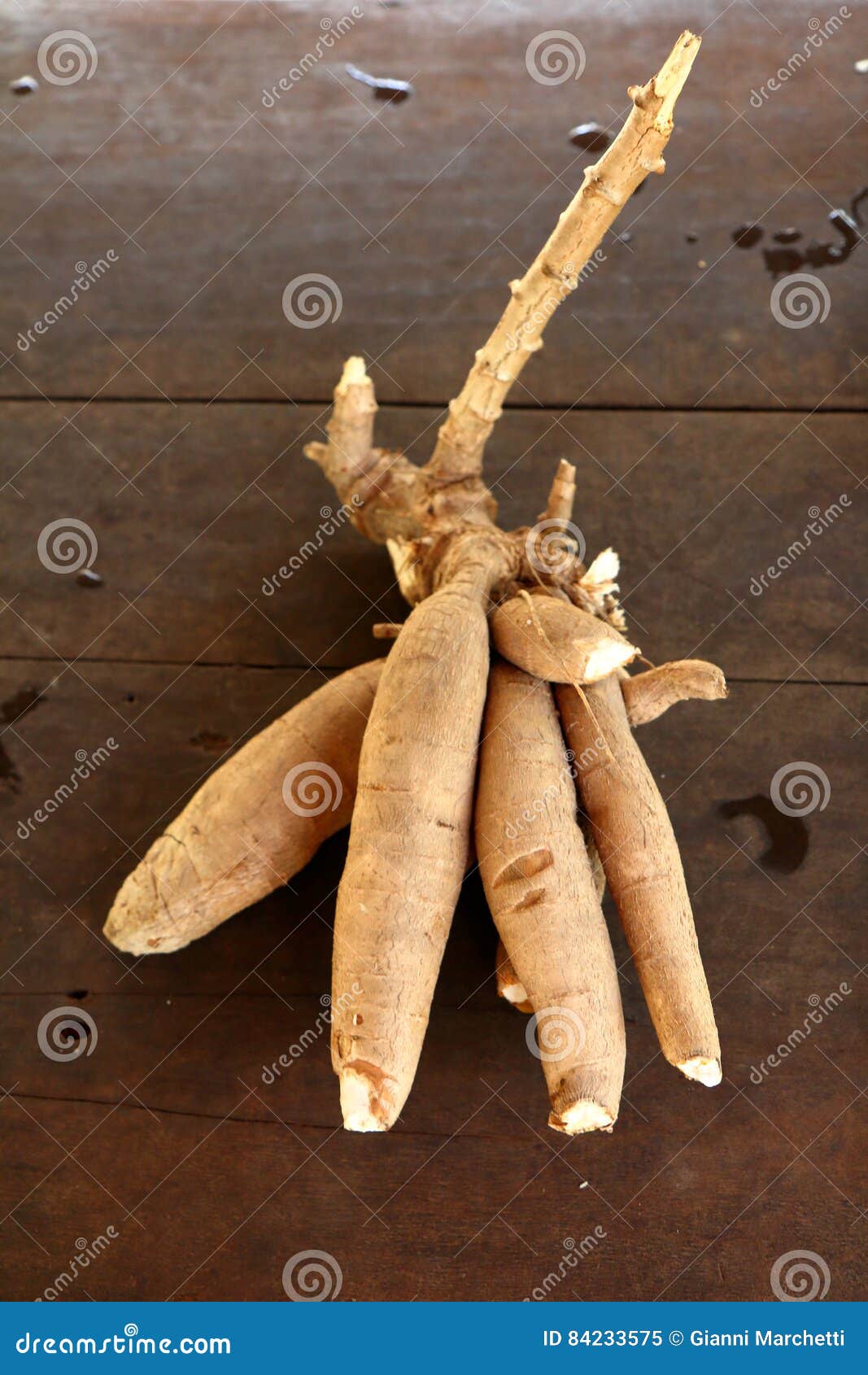 Raiz crua da mandioca imagem de stock. Imagem de marrom - 84233575