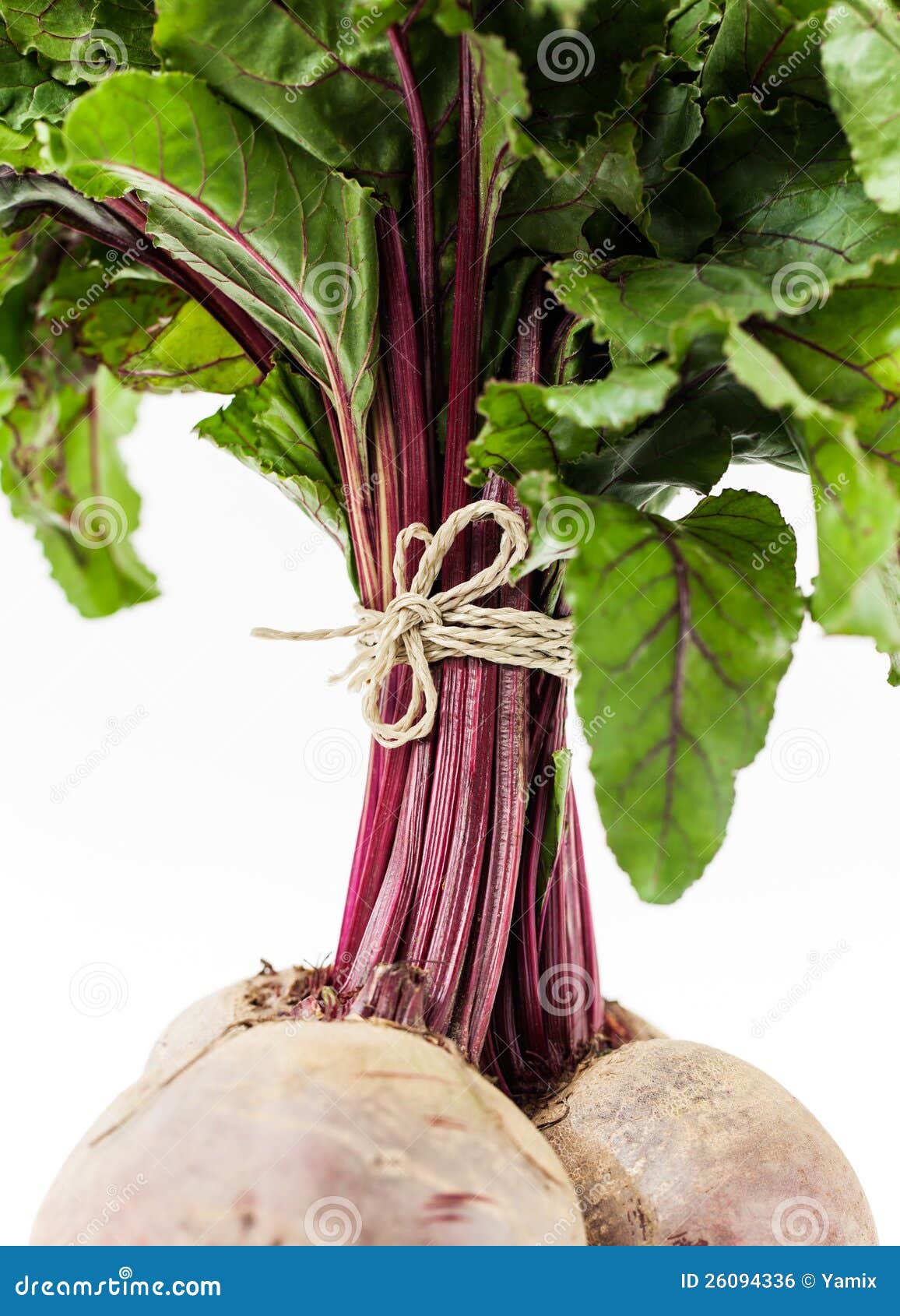 Raiz Da Beterraba (beta Vulgaris) Foto de Stock - Imagem de roxo ...