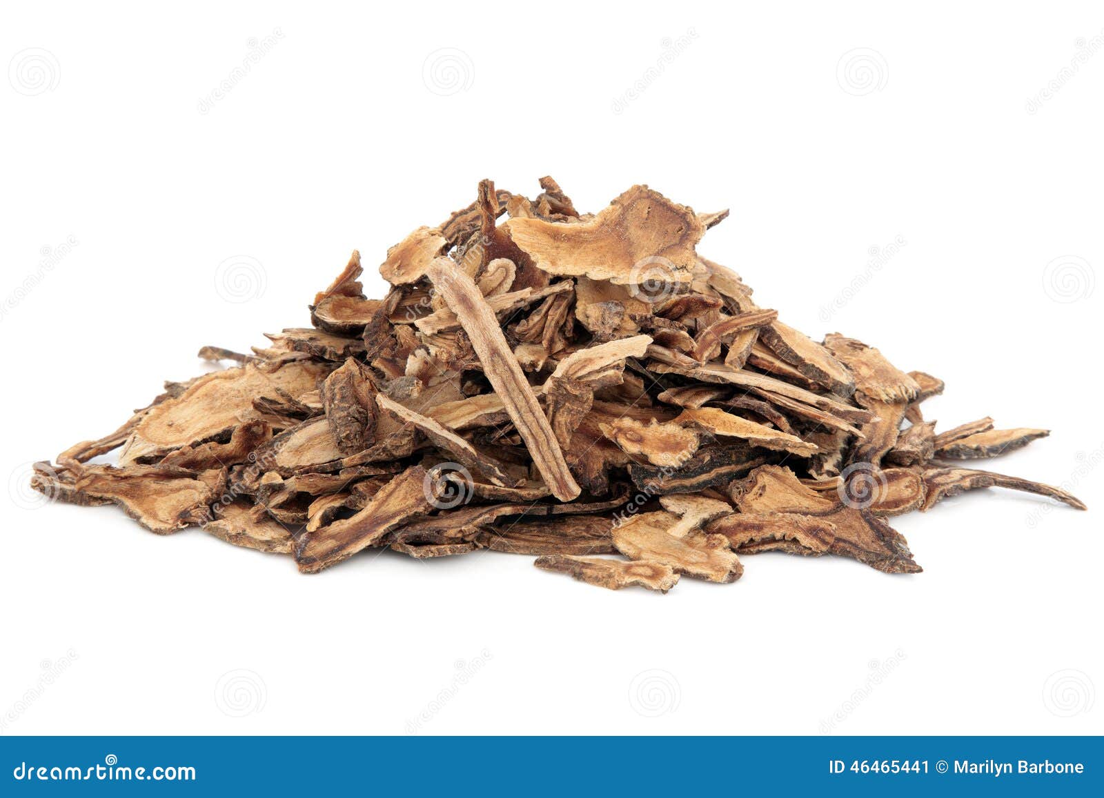 Raiz da erva-doce do porco imagem de stock. Imagem de médico - 46465441