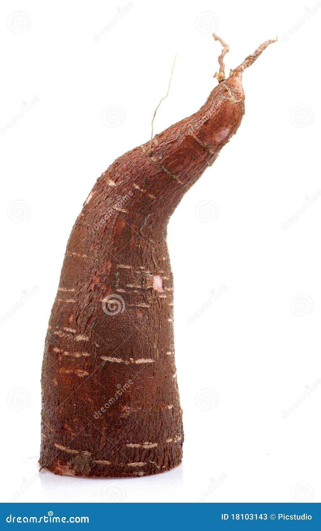 Raiz da mandioca imagem de stock. Imagem de alimento - 18103143