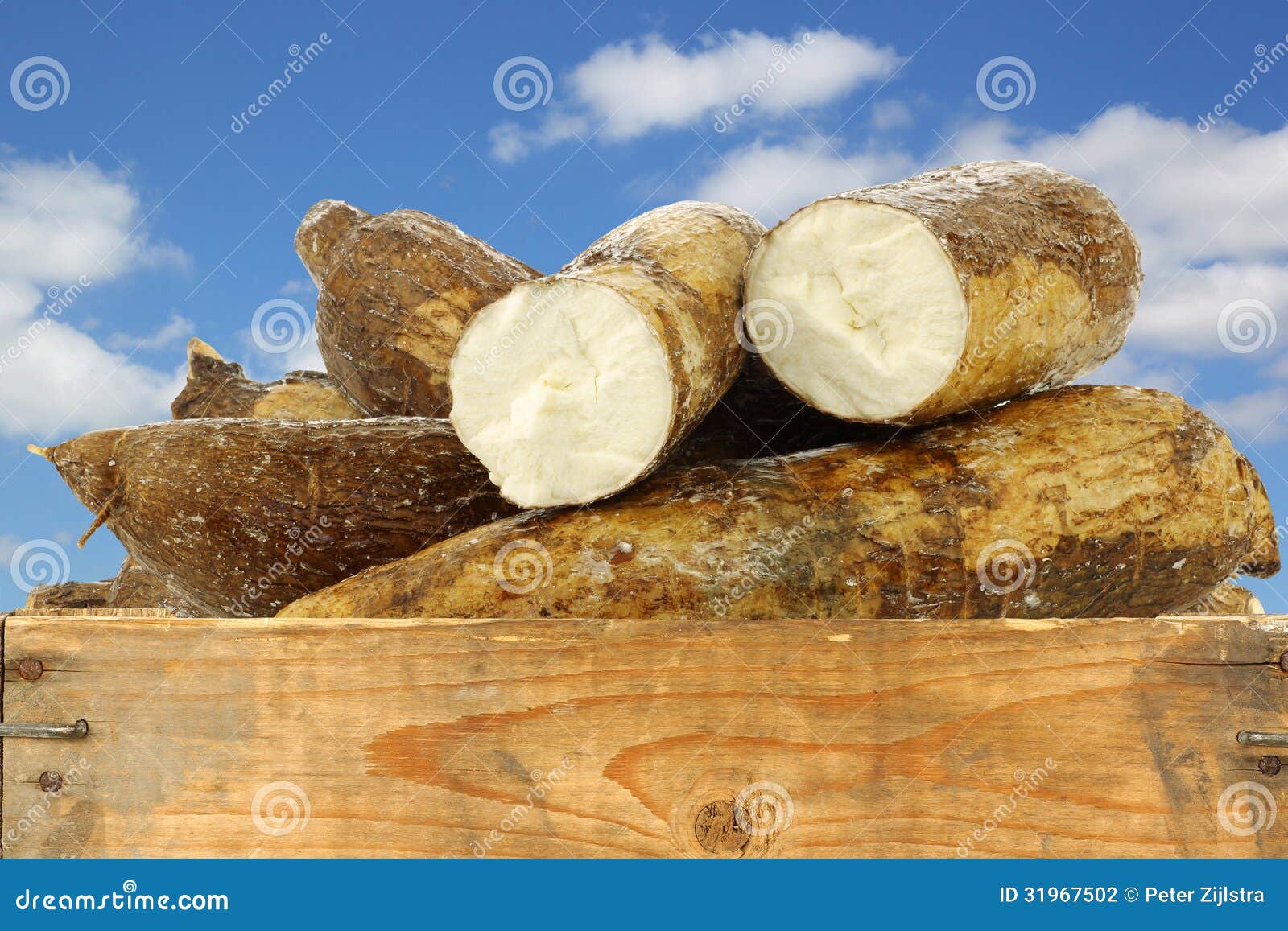 Raiz Da Mandioca E Algumas Partes Foto de Stock - Imagem de alimento ...