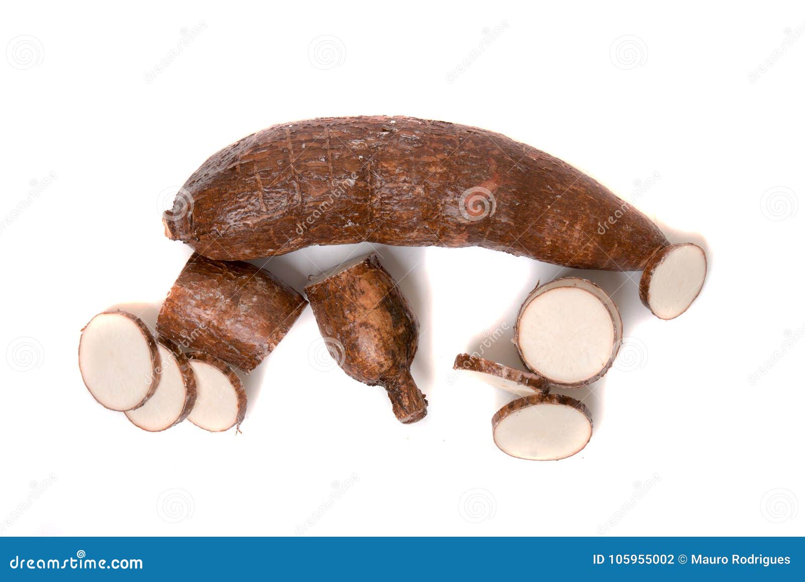 Raiz Da Mandioca Isolada Em Um Fundo Branco Foto de Stock - Imagem de ...
