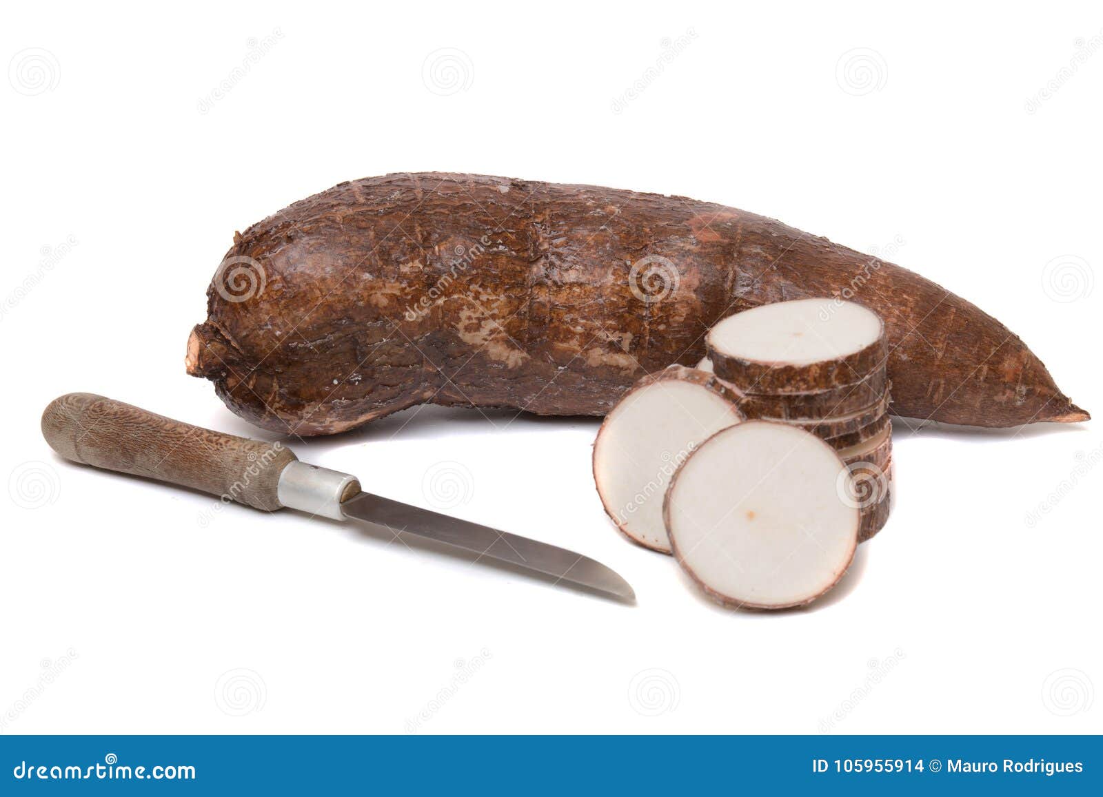 Raiz Da Mandioca Isolada Em Um Fundo Branco Foto de Stock - Imagem de ...