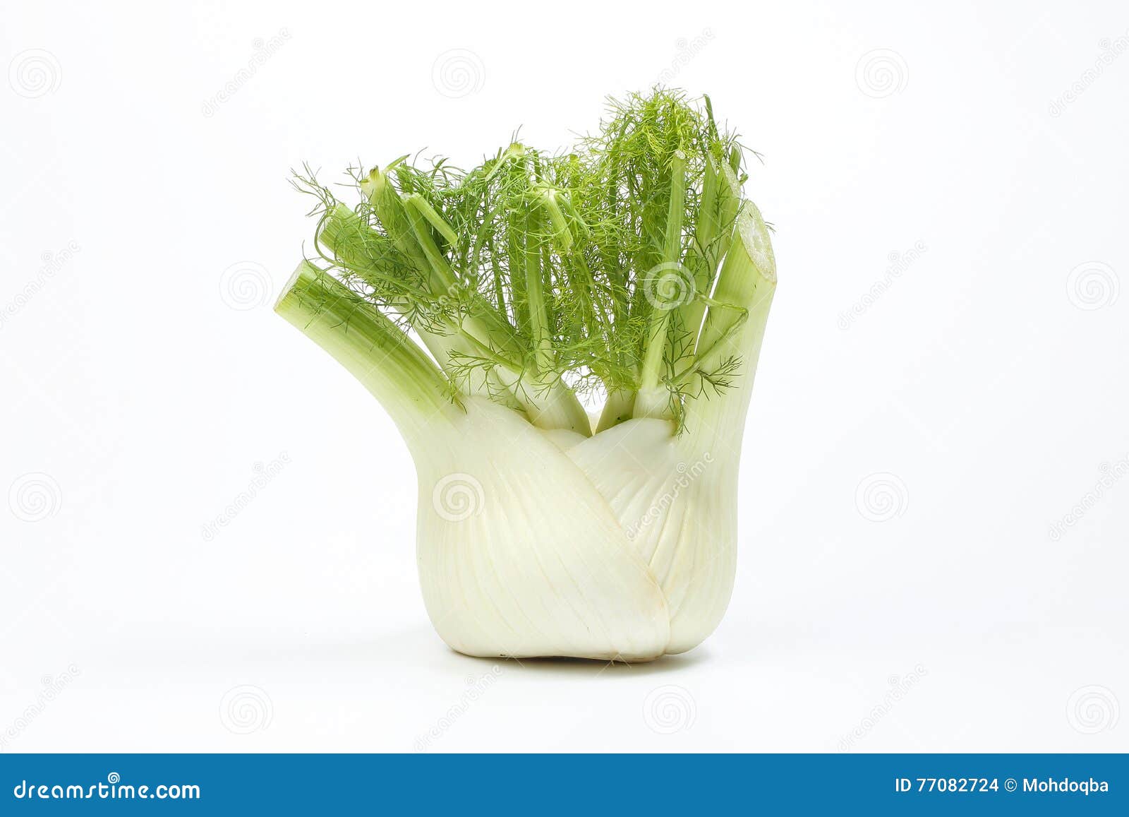 Raiz Do Branco Do Verde Da Planta Da Erva-doce Foto de Stock - Imagem ...