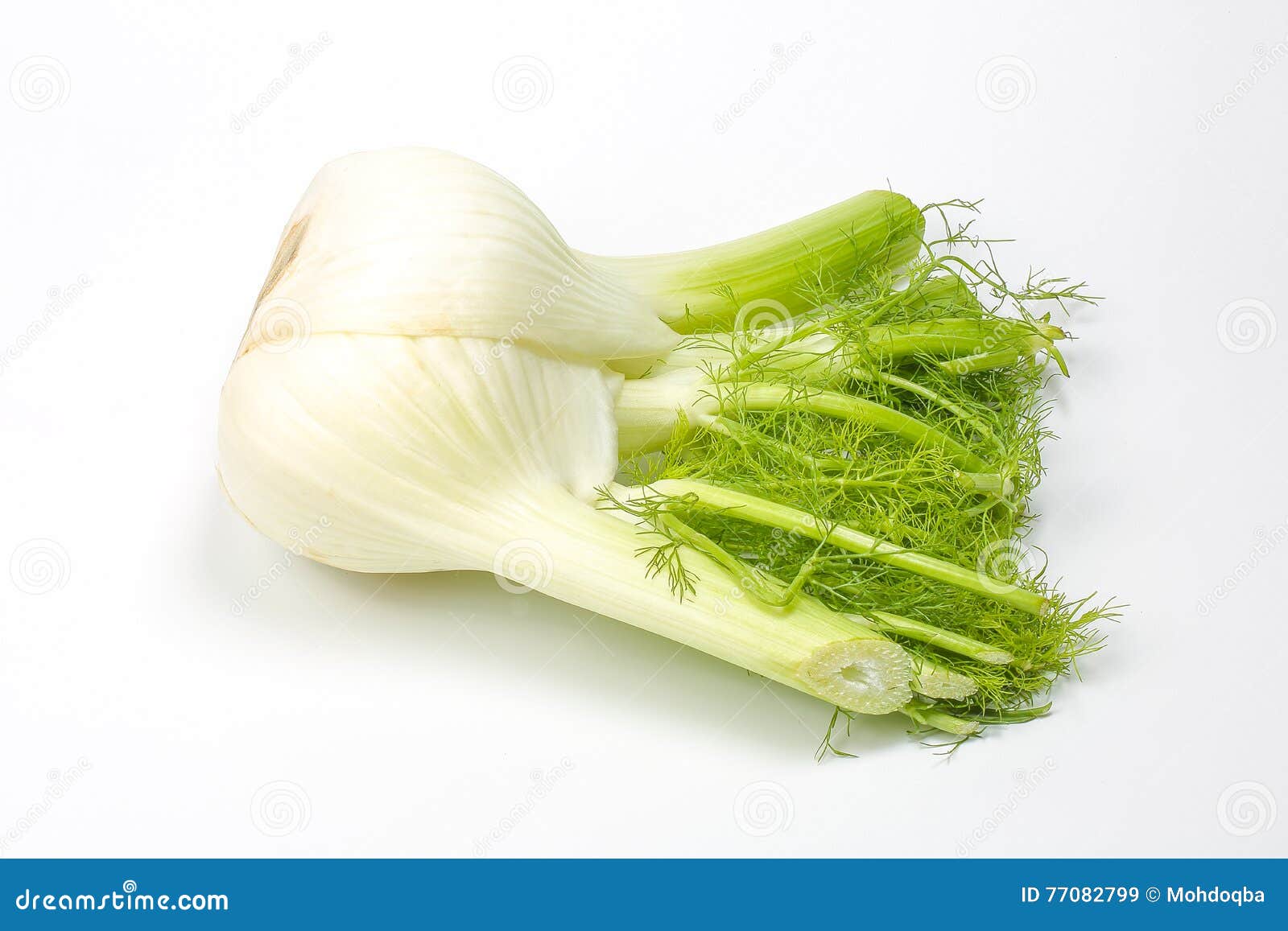 Raiz Do Branco Do Verde Da Planta Da Erva-doce Imagem de Stock - Imagem ...