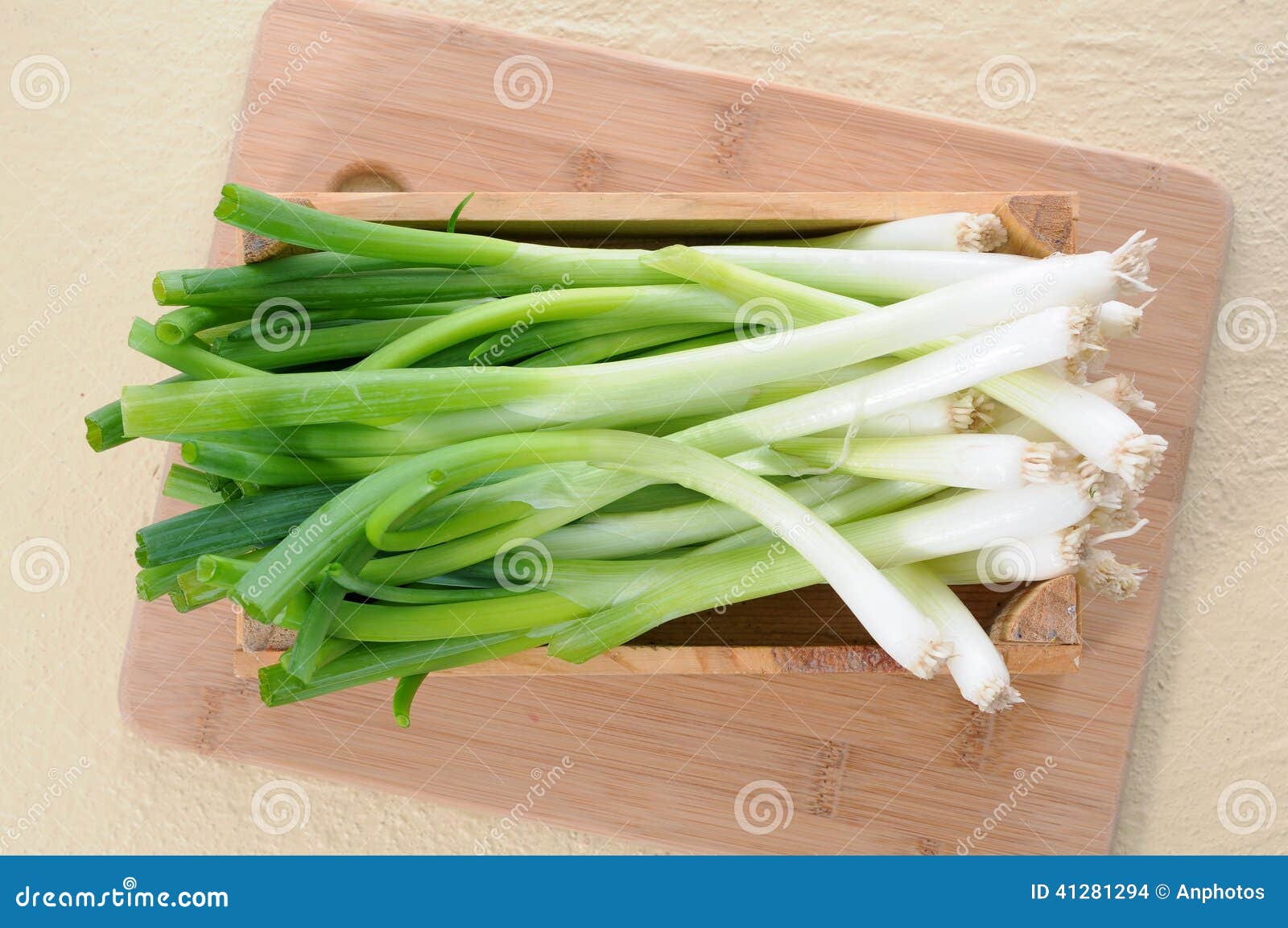 Raizes da cebola verde foto de stock. Imagem de caso - 41281294