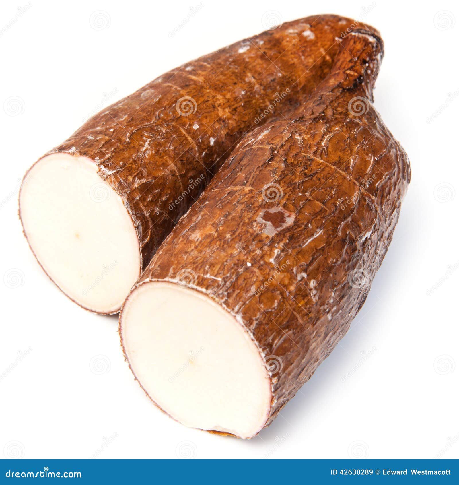 Raizes Da Mandioca Ou Da Mandioca Imagem de Stock - Imagem de raizes ...