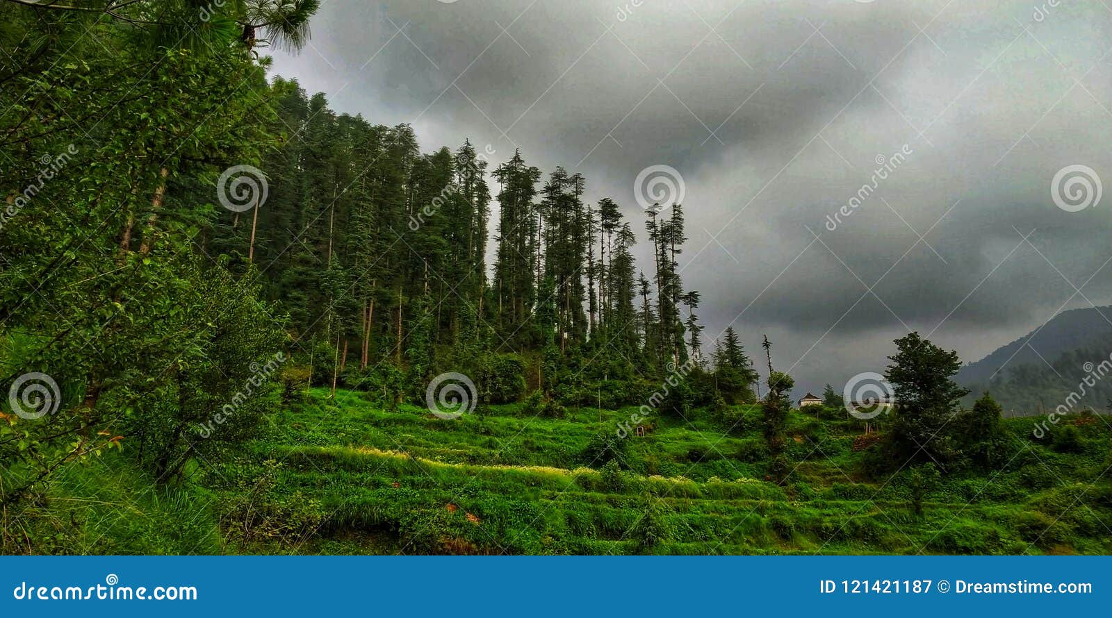 Churdhar Track Stock Photos - Free & Royalty-Free Stock Photos from ...