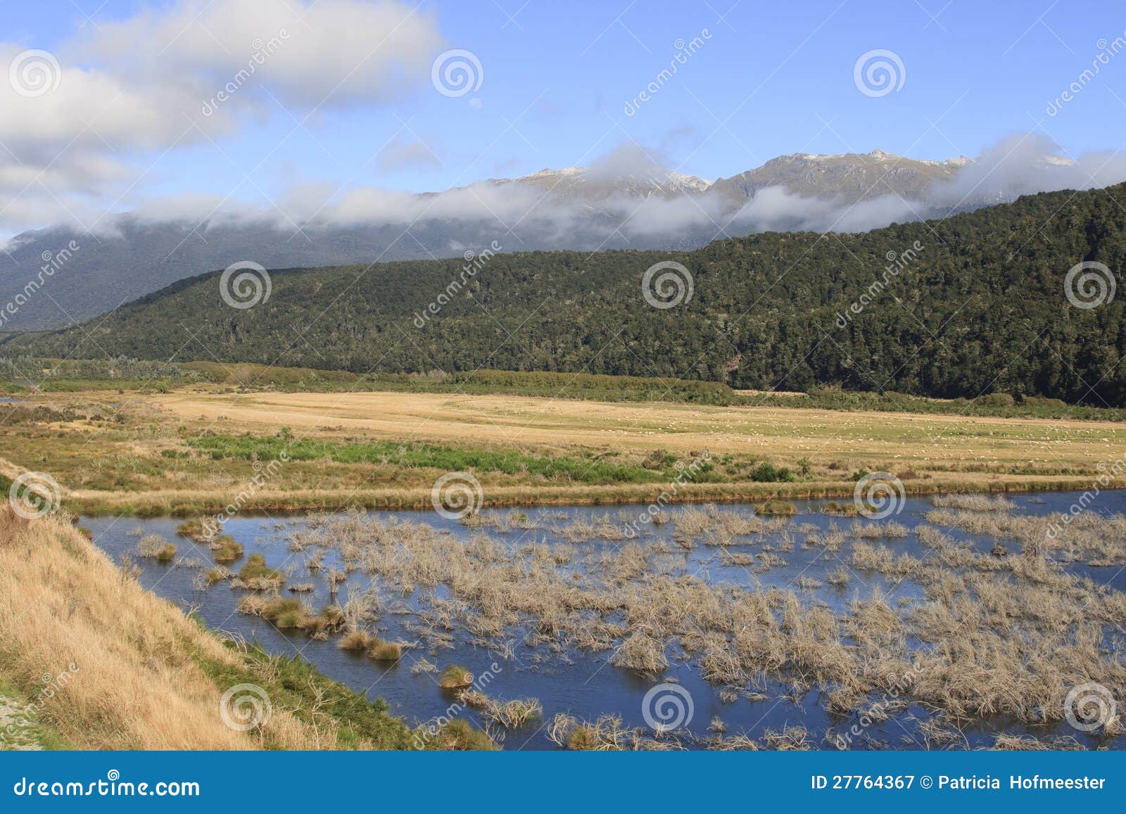 Rakatu Wetlands stock image. Image of small, protected - 27764367