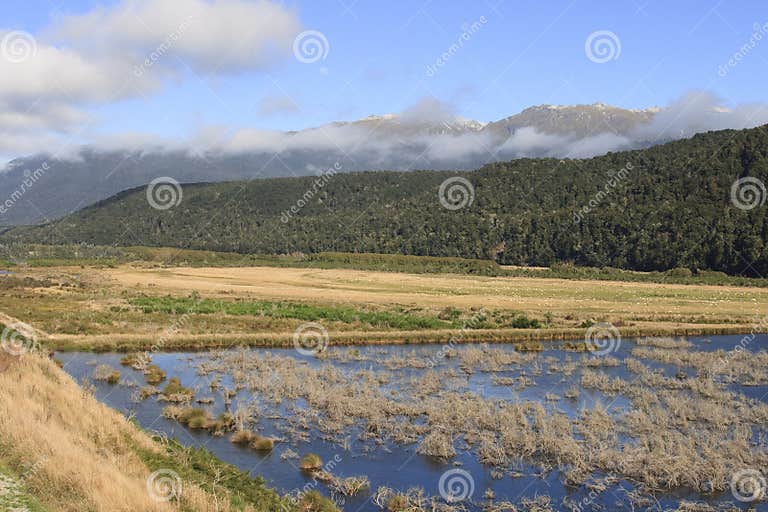 Rakatu Wetlands stock image. Image of small, protected - 27764367
