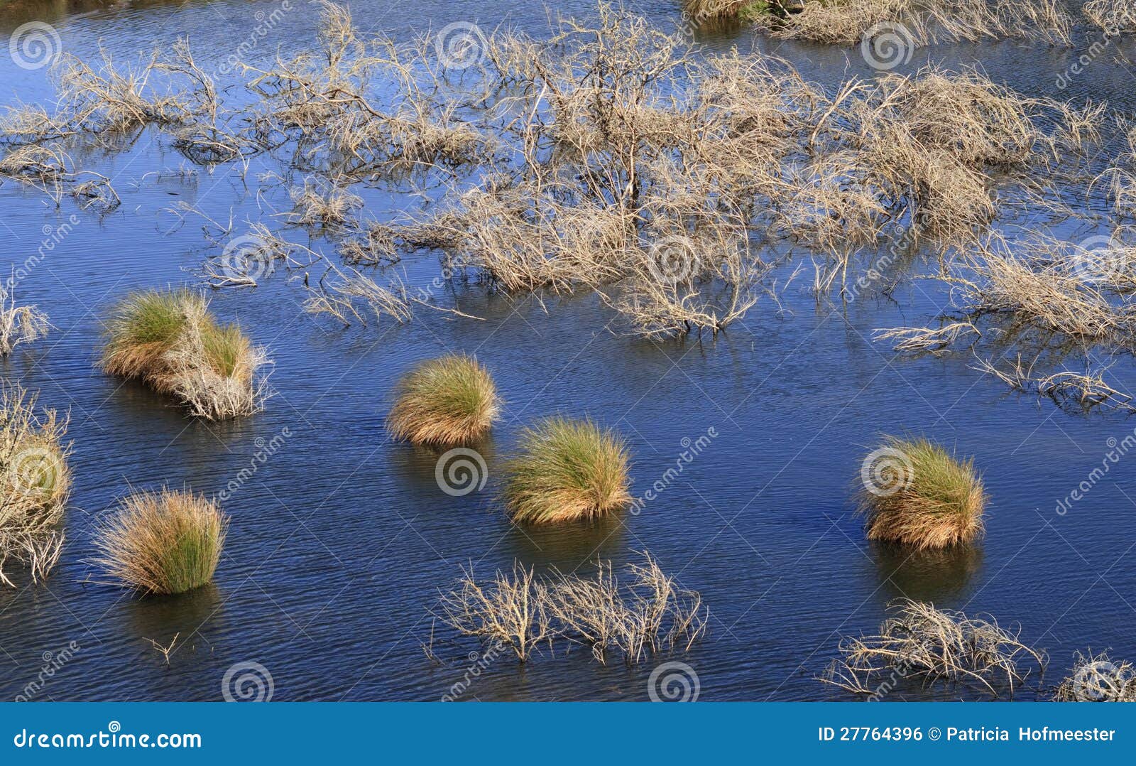 Rakatu Wetlands stock photo. Image of sustainable, route - 27764396
