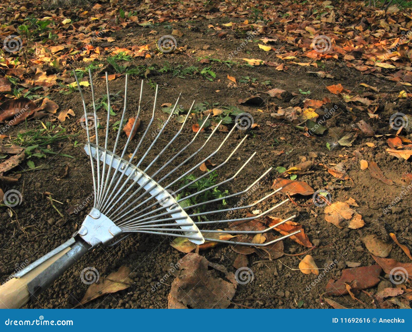 Rake stock photo. Image of furniture, level, close, clear - 11692616