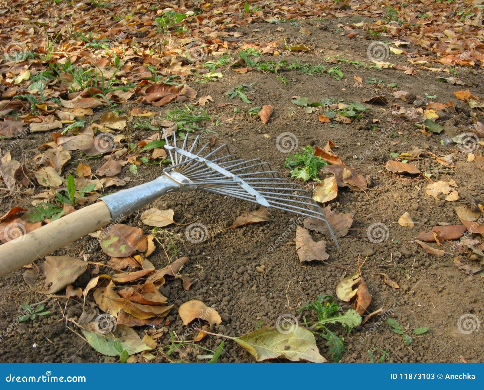 Rake stock image. Image of harvesting, gathering, furniture - 11873103
