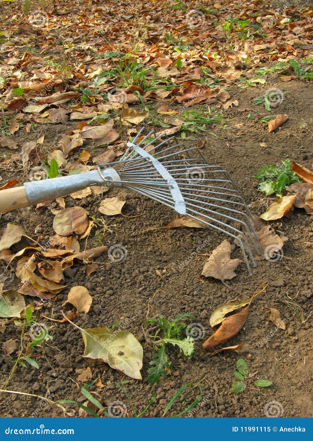 Rake stock image. Image of harvesting, apparatus, inventory - 11991115